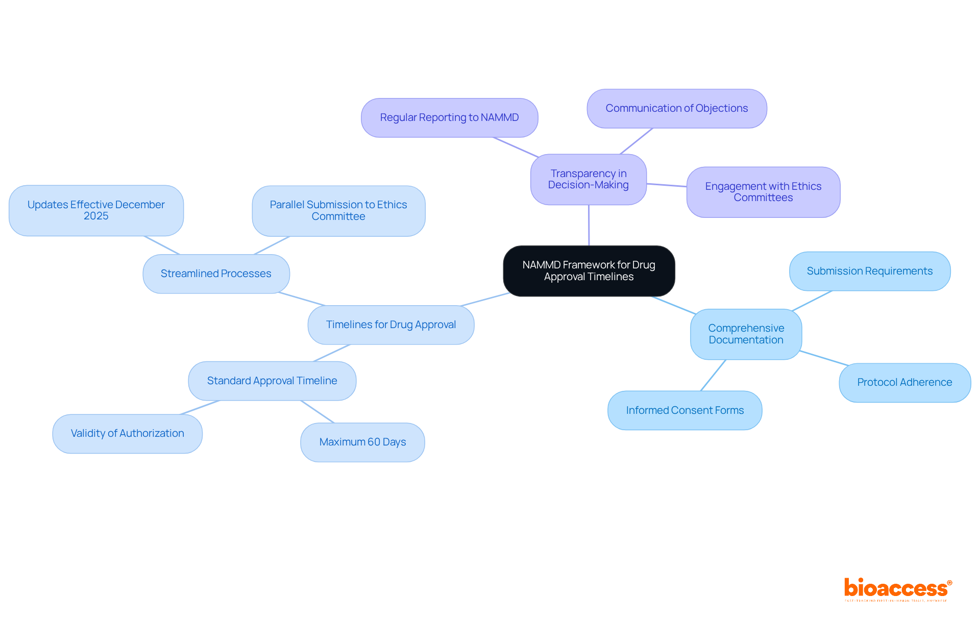 The central node represents the NAMMD framework, while the branches show the key components that are essential for understanding drug approval timelines. Each color-coded branch helps you navigate through the different aspects of the framework.
