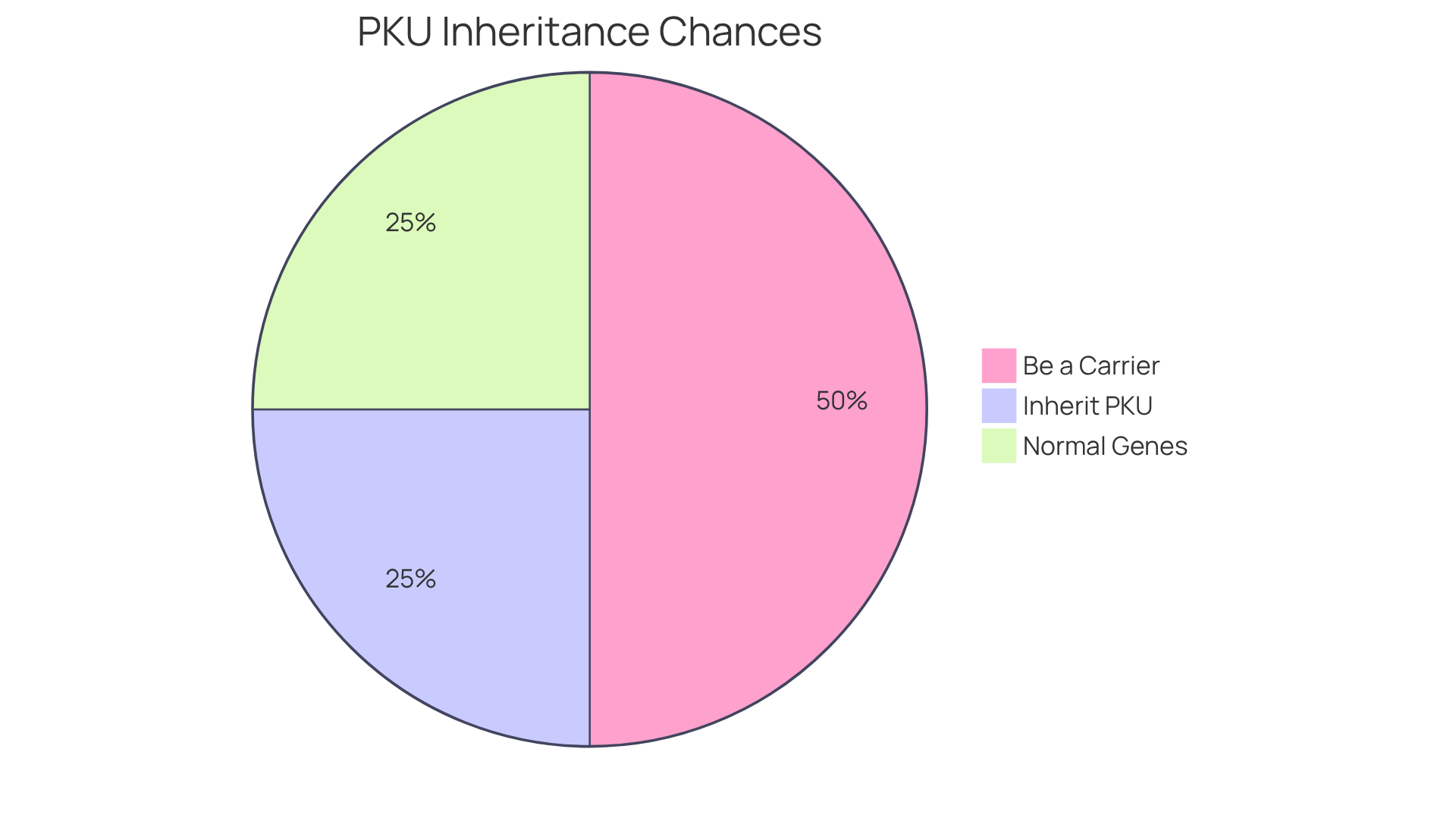 This chart shows the chances for children of PKU carriers: 25% chance of having PKU (red), 50% chance of being a carrier (blue), and 25% chance of having two normal genes (green).