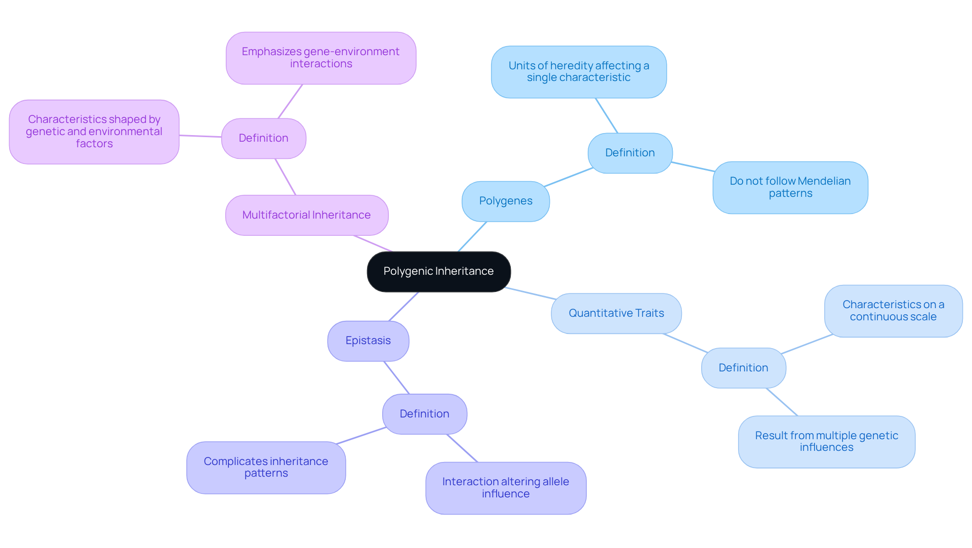 The central node represents the main topic of polygenic inheritance. Each branch represents a key term that contributes to understanding this complex genetic concept. Follow the branches to see definitions and how they relate to the overall topic.