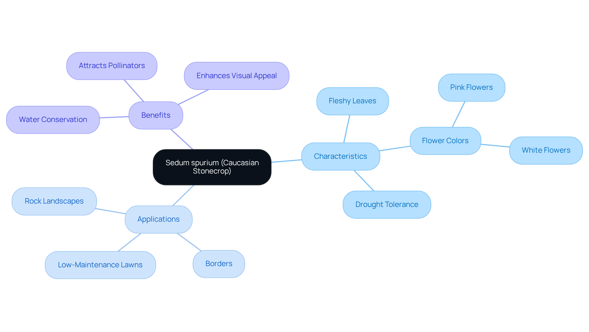 This mindmap shows the main features of Sedum spurium. Start at the center with the plant's name, then explore its characteristics, applications, and benefits. Each branch represents a different aspect, helping you understand why this plant is a great choice for low-water landscapes.