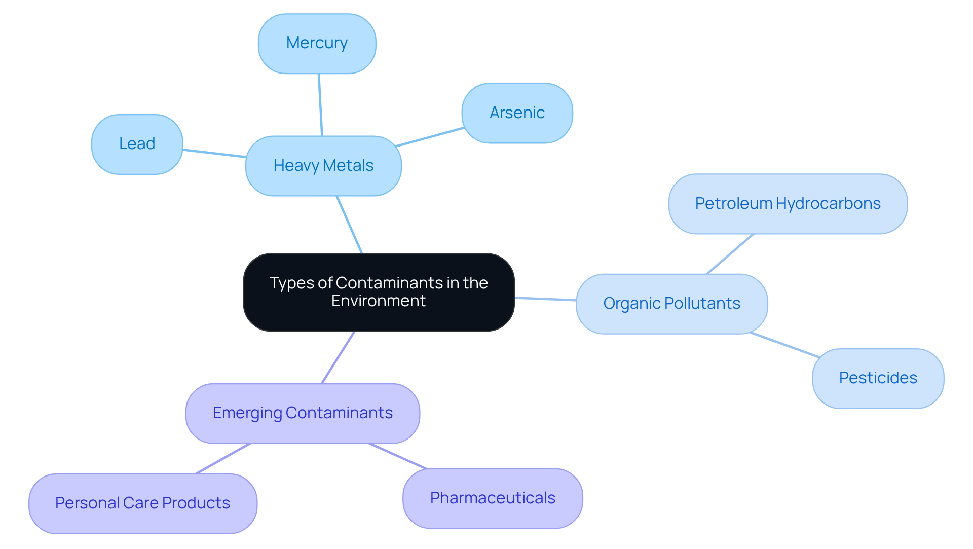 The center shows the main topic, and the branches represent different types of pollutants. Each sub-branch lists specific examples, helping you understand the variety of contaminants present in the environment.