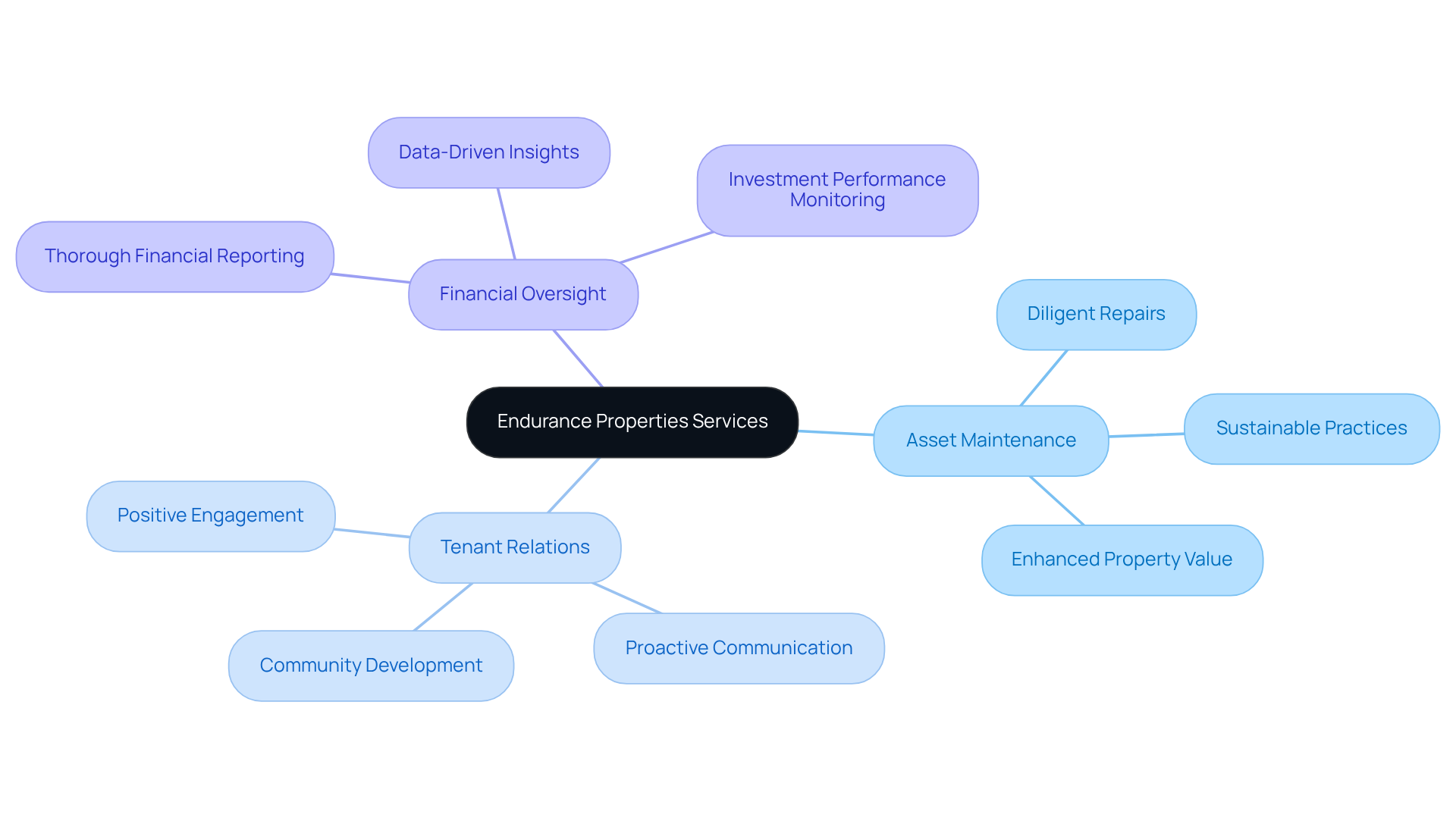 At the center is Endurance Properties' focus on optimizing real estate investments. The branches show their key service areas, and the sub-branches detail specific strategies under each area. At the center is Endurance Properties' focus on optimizing real estate investments. The branches show their key service areas, and the sub-branches detail specific strategies under each area.