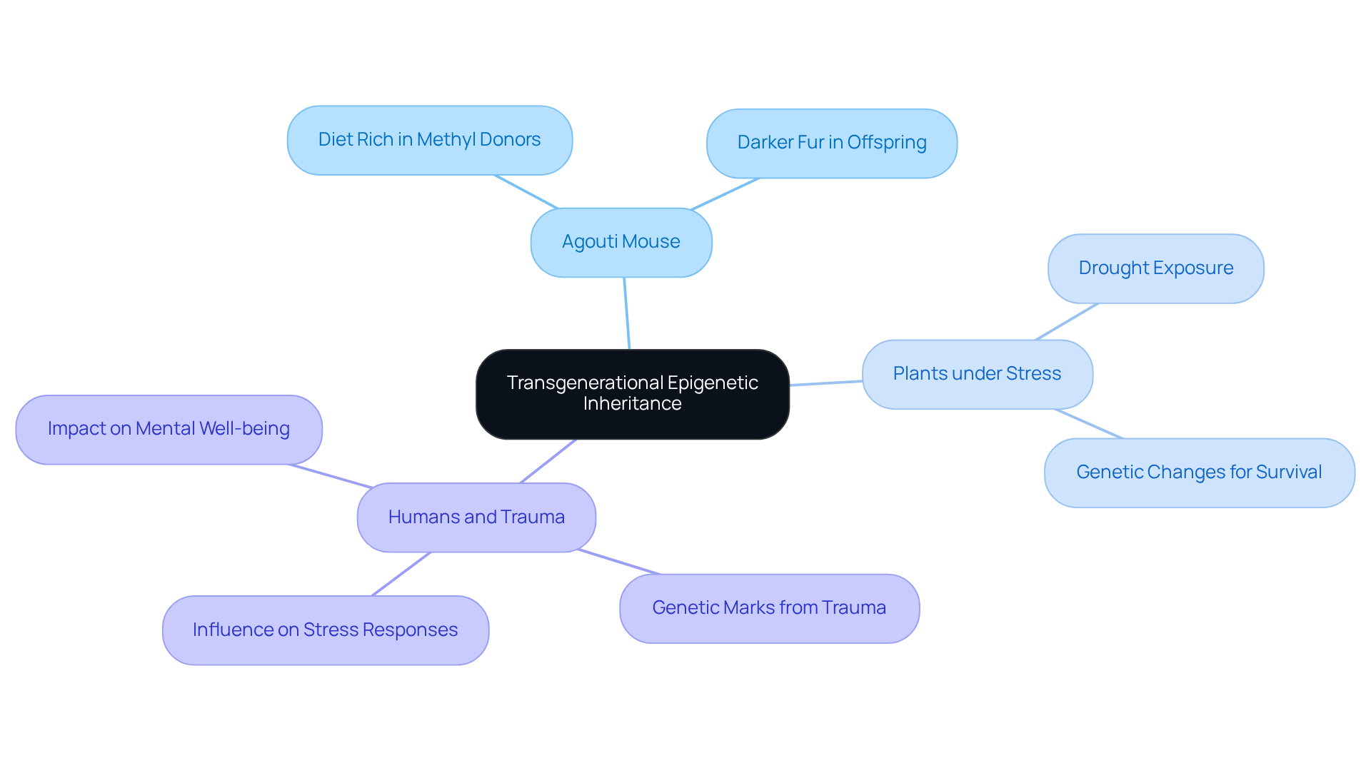 Start at the center with the main topic, then explore each branch to see how different species illustrate the concept of transgenerational inheritance and the environmental factors involved.