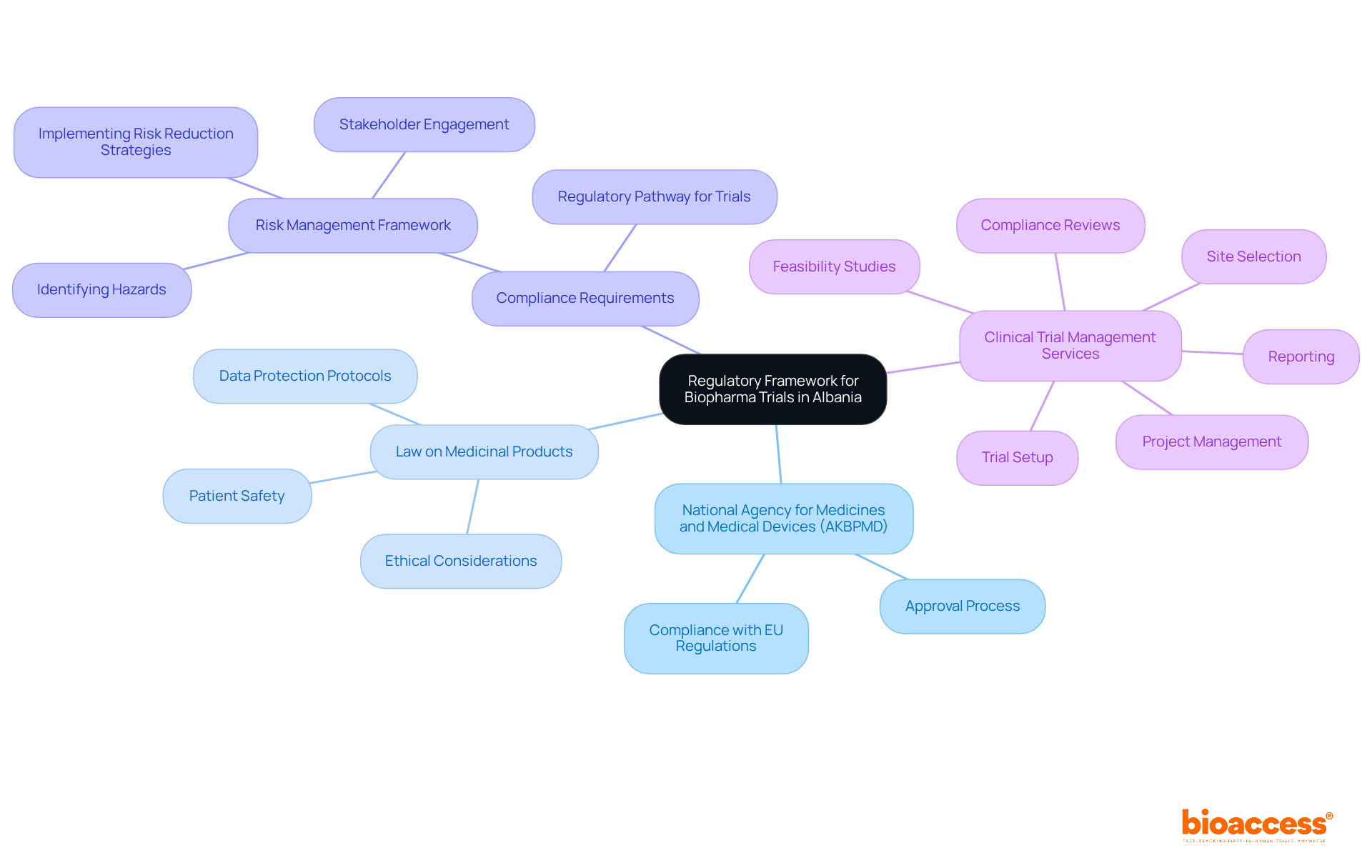 The central node represents the overall regulatory framework, while the branches show key components like agencies and laws. Each sub-branch provides more detail on specific requirements and services, helping you understand how they all connect.