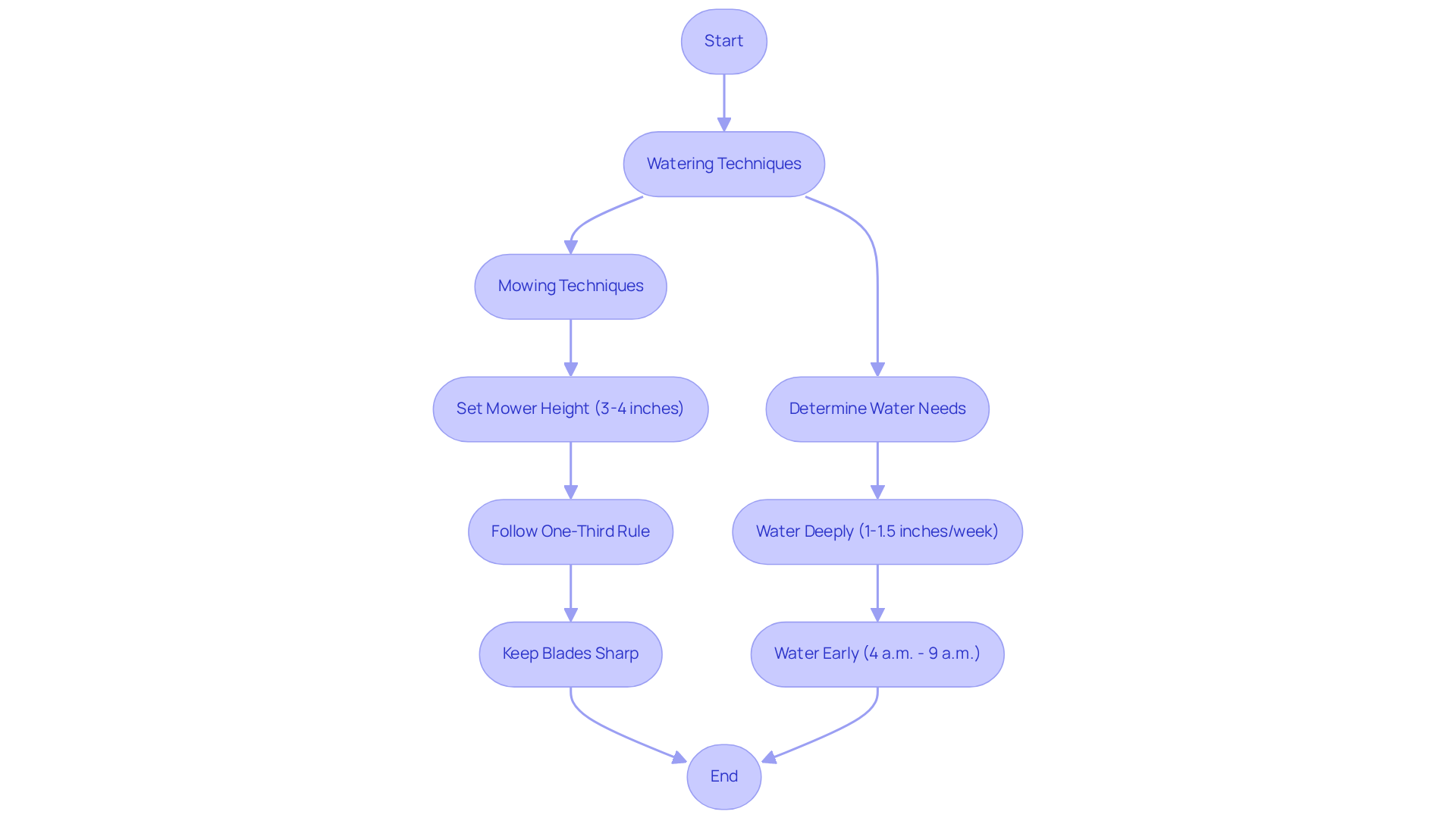 Follow the arrows to see the recommended steps for watering and mowing your garden. Each step helps ensure your plants stay healthy and vibrant! Follow the arrows to see the recommended steps for watering and mowing your garden. Each step helps ensure your plants stay healthy and vibrant!