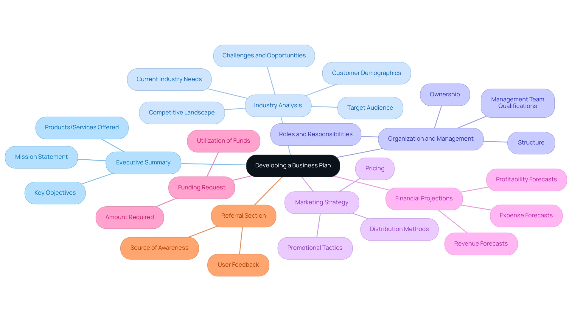 Each branch represents a key section of the business plan, color-coded to differentiate them, with sub-branches providing additional details.