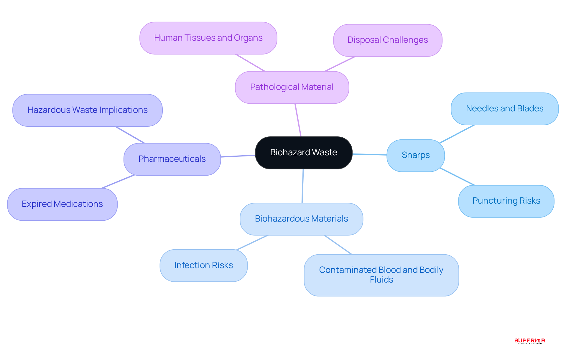 The central node represents biohazard waste, while the branches show different types of waste and their significance. Each color-coded branch helps you quickly identify the category and understand its role in healthcare safety.