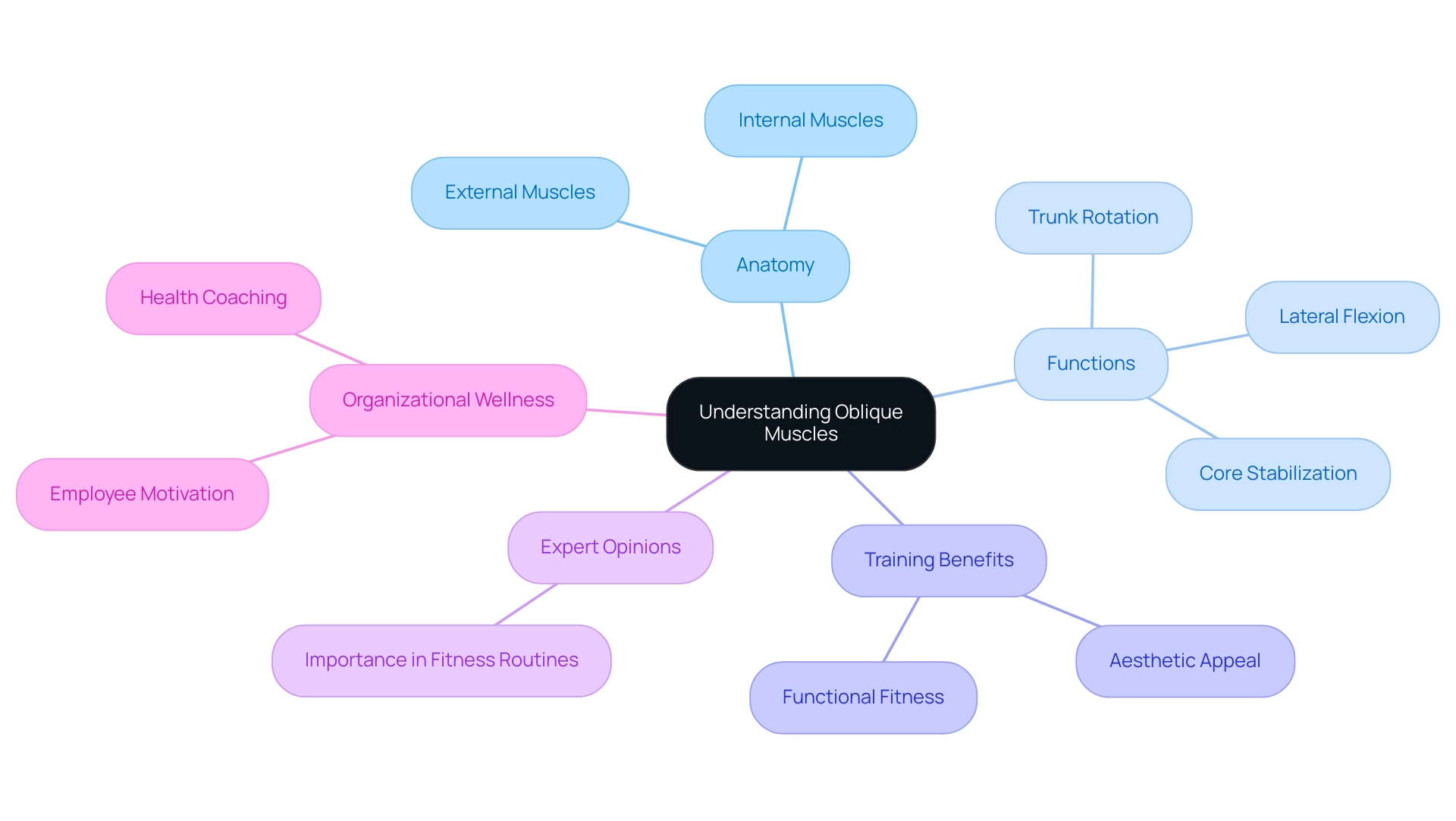 Branches represent key areas related to oblique muscles: Anatomy, Functions, Training Benefits, Expert Opinions, and Organizational Wellness.