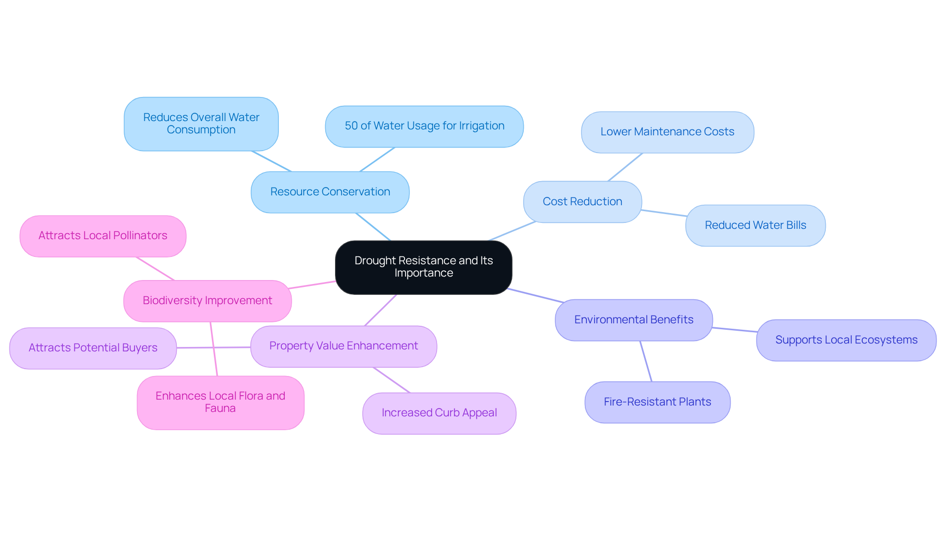 The central idea is drought resistance, with branches showing its various benefits. Each branch represents a different aspect, and the sub-branches provide more detailed information. This layout helps you see how everything connects and why drought resistance is important.