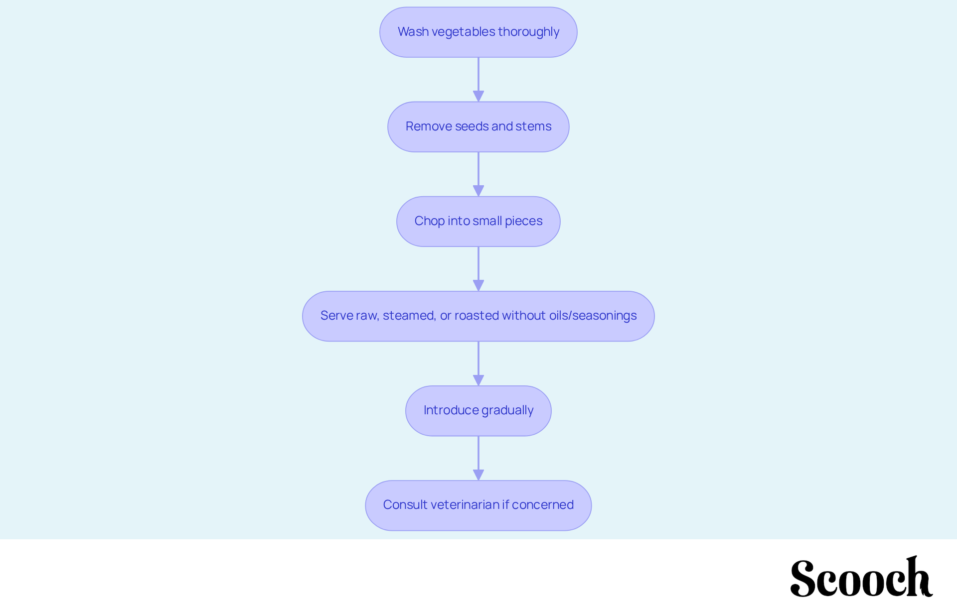 Follow each box in order to safely prepare peppers for your dog. Each step guides you through the process, ensuring you provide a healthy treat for your furry friend.