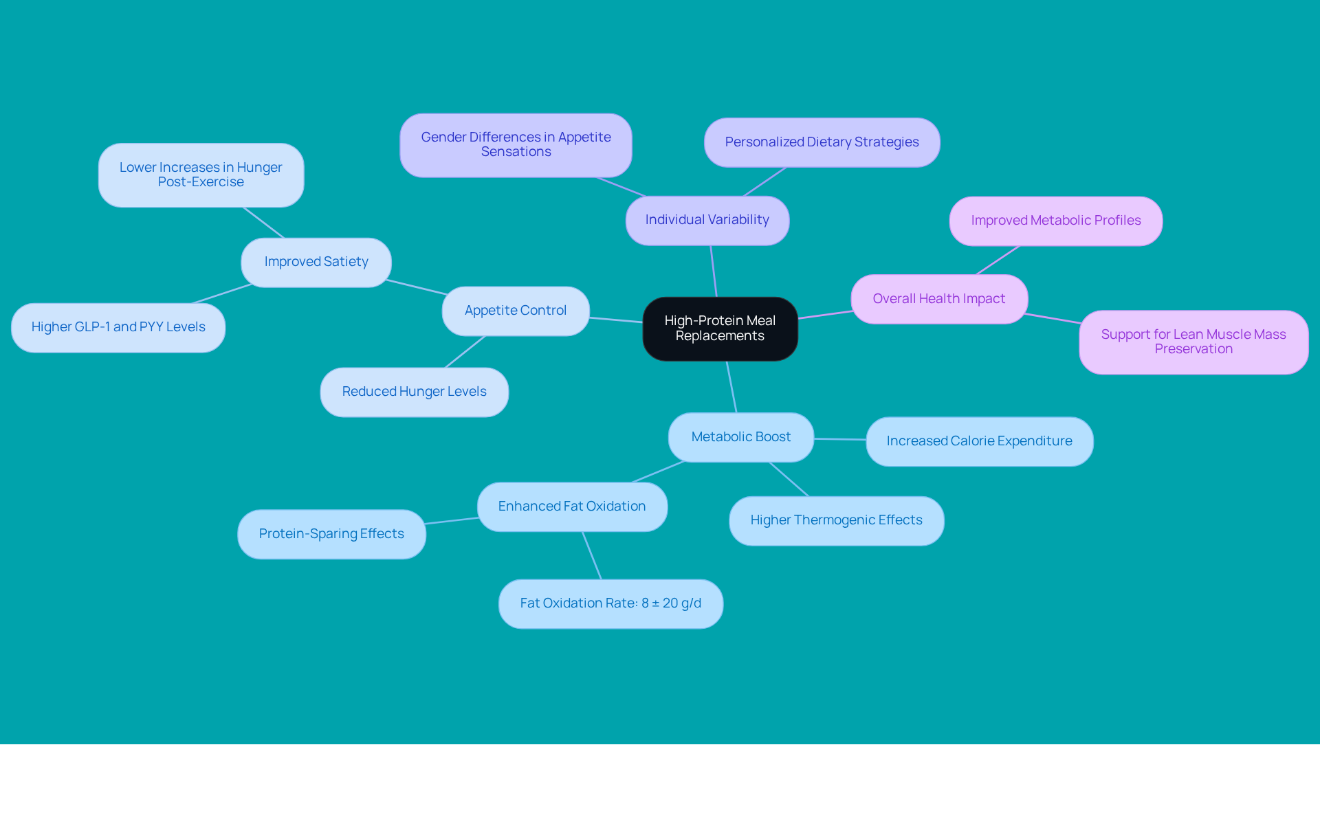 The central node represents the main topic of high-protein meal replacements. Each branch shows an important aspect of how these foods influence metabolism, appetite, and overall health. Follow the lines to explore how each point connects back to the benefits of protein-rich diets.