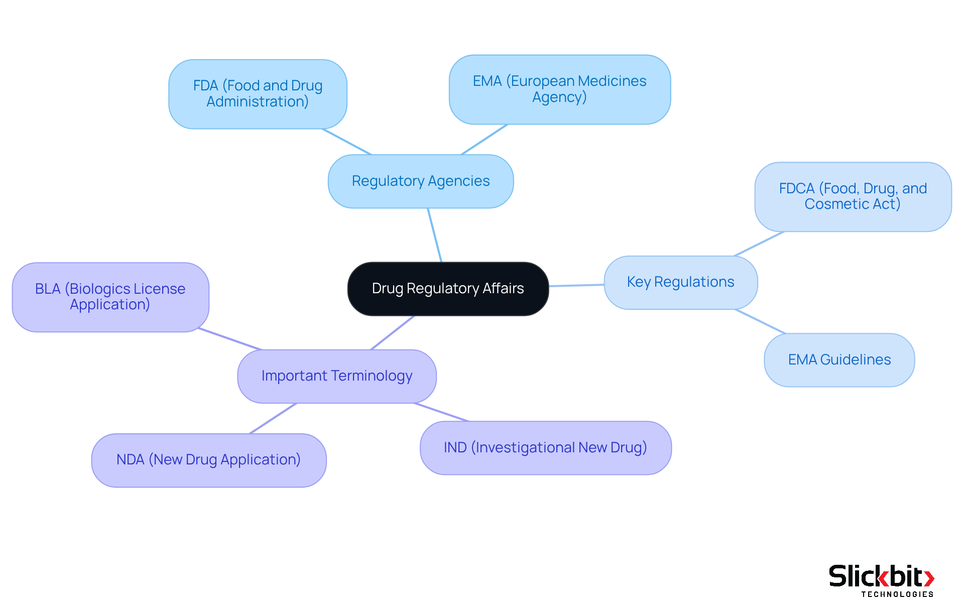 The central node highlights the main topic, with branches representing key areas and terms. Explore each branch to understand the essential elements that make up drug regulatory affairs.