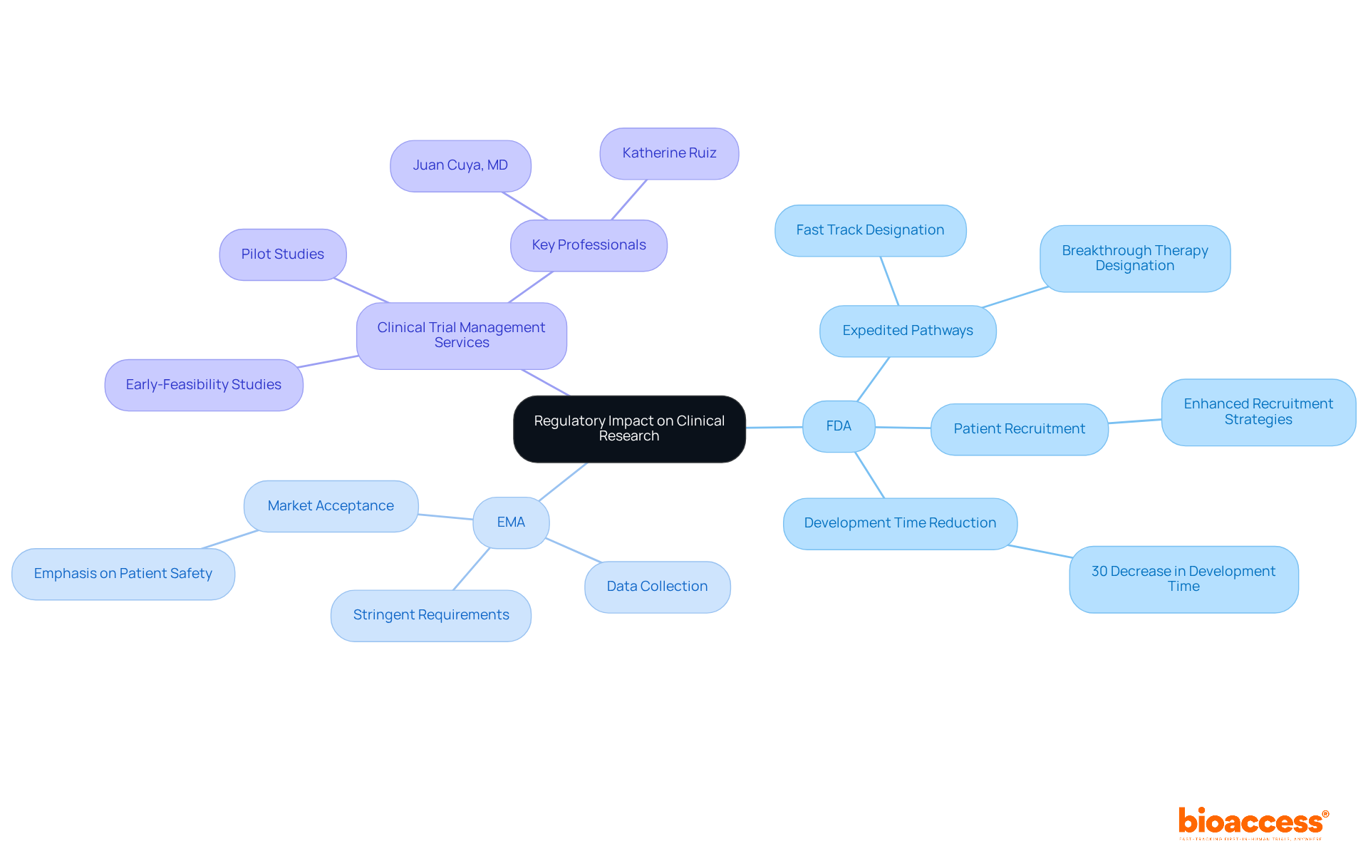 The central idea is the regulatory impact, with branches showing how the FDA and EMA influence clinical studies and market strategies. Each branch breaks down into specific elements, illustrating the complexities that Medtech, Biopharma, and Radiopharma companies must navigate.