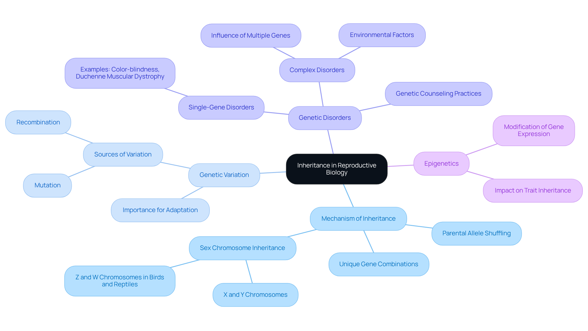Start at the center with the main idea of inheritance, then follow the branches to explore how it connects to genetic variation, the evaluation of genetic disorders, and the role of epigenetics in trait expression.