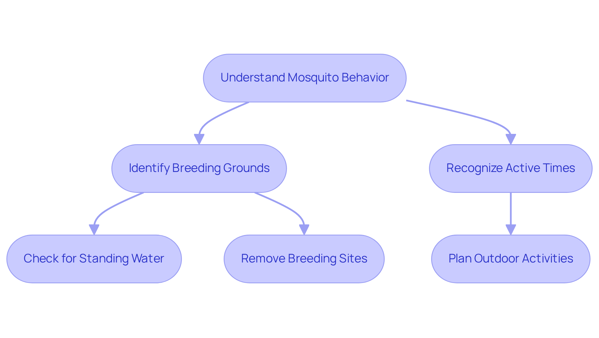 Follow the flow from understanding mosquito behavior to taking action. Each step helps you manage mosquitoes better, ensuring you can enjoy your outdoor space without worry.