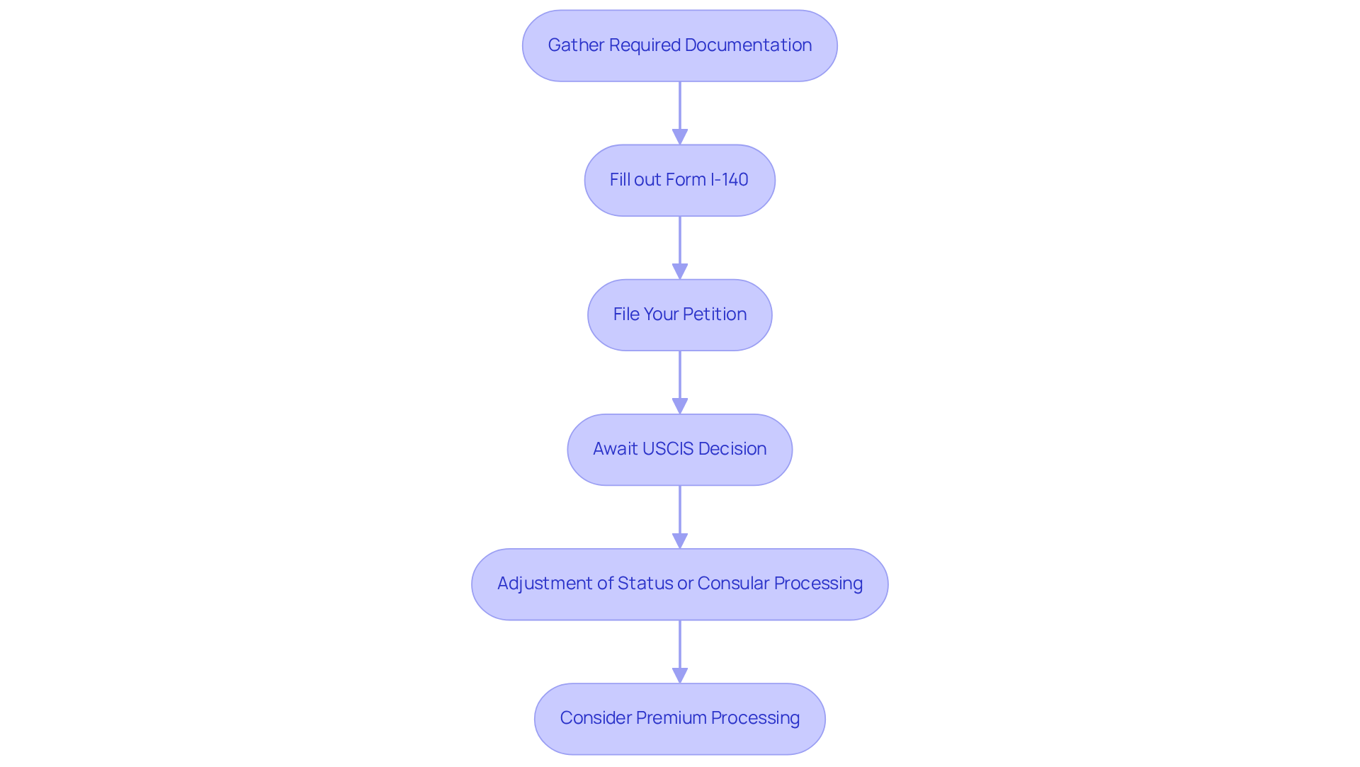 Each box represents a step in the application process. Follow the arrows to see how to navigate from gathering documents to considering premium processing. This flowchart is designed to guide you through each stage clearly and simply.