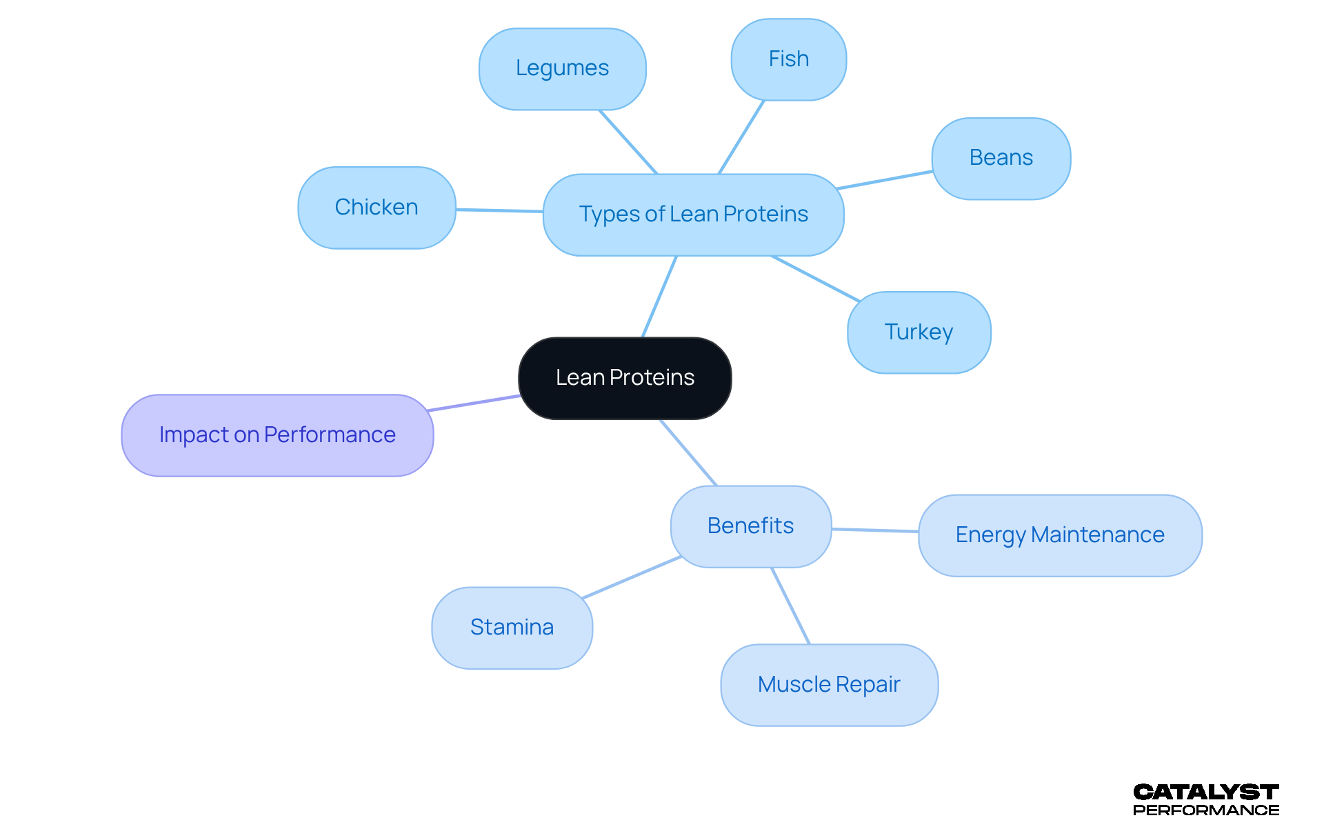 The center represents lean proteins, and the branches show their types and benefits. Follow the branches to see how these proteins support your energy levels and recovery after workouts.
