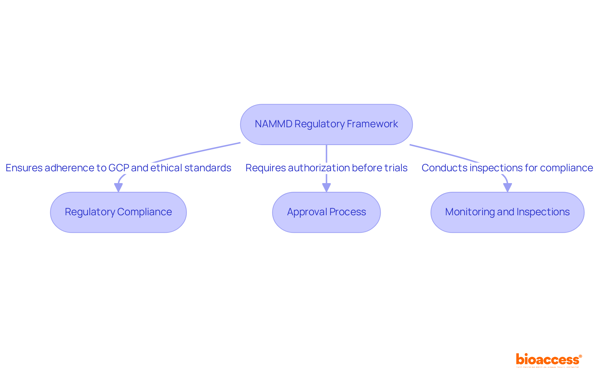 Each box represents a key component of the NAMMD regulatory pathway. Follow the arrows to see how each part connects and contributes to the overall process of conducting drug trials.