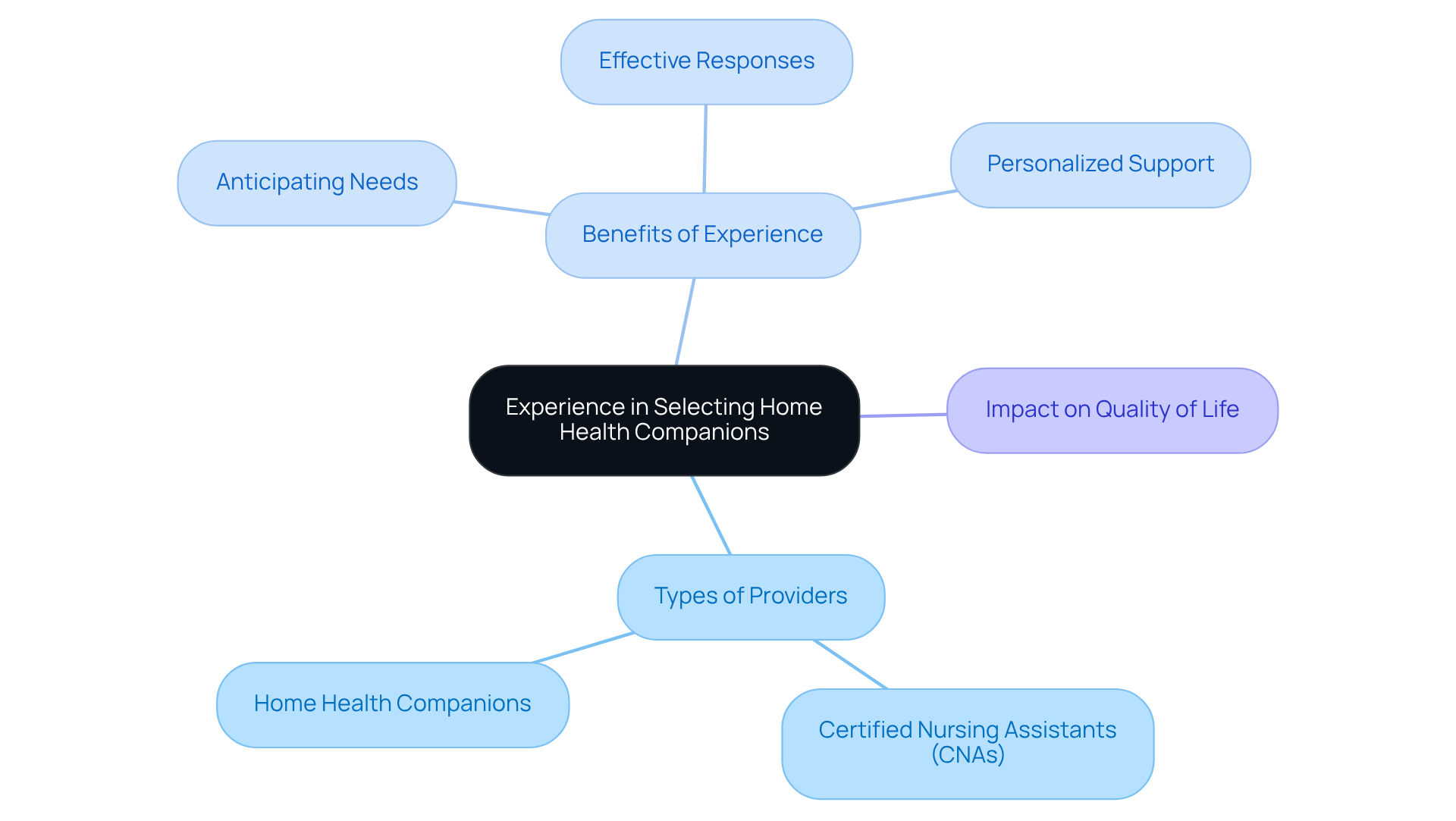 The central idea focuses on the importance of experience in selecting companions, with branches showing different types of providers and the benefits that their experience brings to seniors' care.