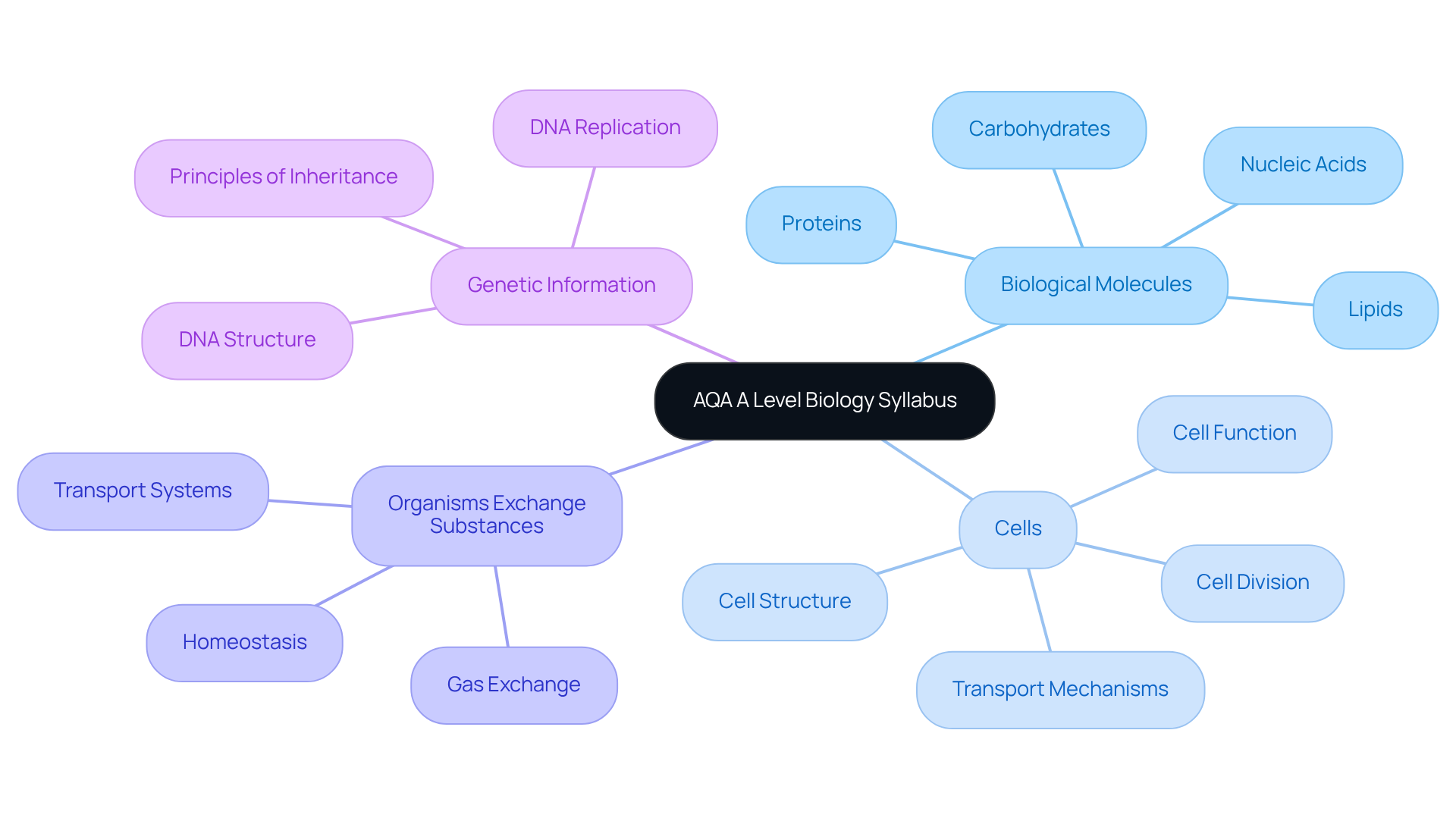 The central node symbolizes the syllabus, while the branches illustrate the key topics of learning. Each colour-coded branch assists you in understanding how various subjects relate and what you need to concentrate on for your test preparation.