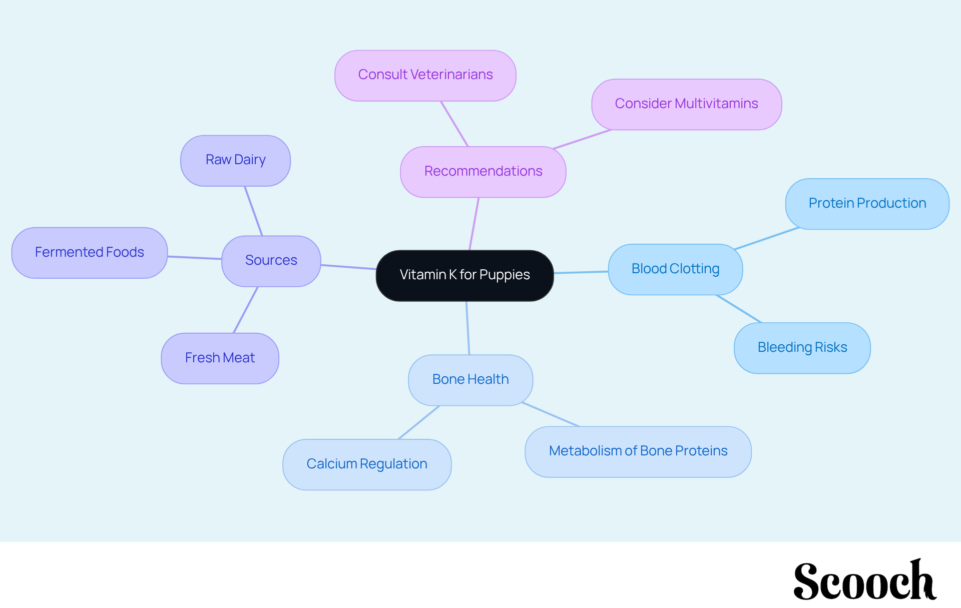 This mindmap shows how Vitamin K supports puppies' health. Each branch represents a key area: blood clotting, bone health, sources of Vitamin K, and recommendations for pet owners. Follow the branches to see how they connect to the central idea. This mindmap shows how Vitamin K supports puppies' health. Each branch represents a key area: blood clotting, bone health, sources of Vitamin K, and recommendations for pet owners. Follow the branches to see how they connect to the central idea.