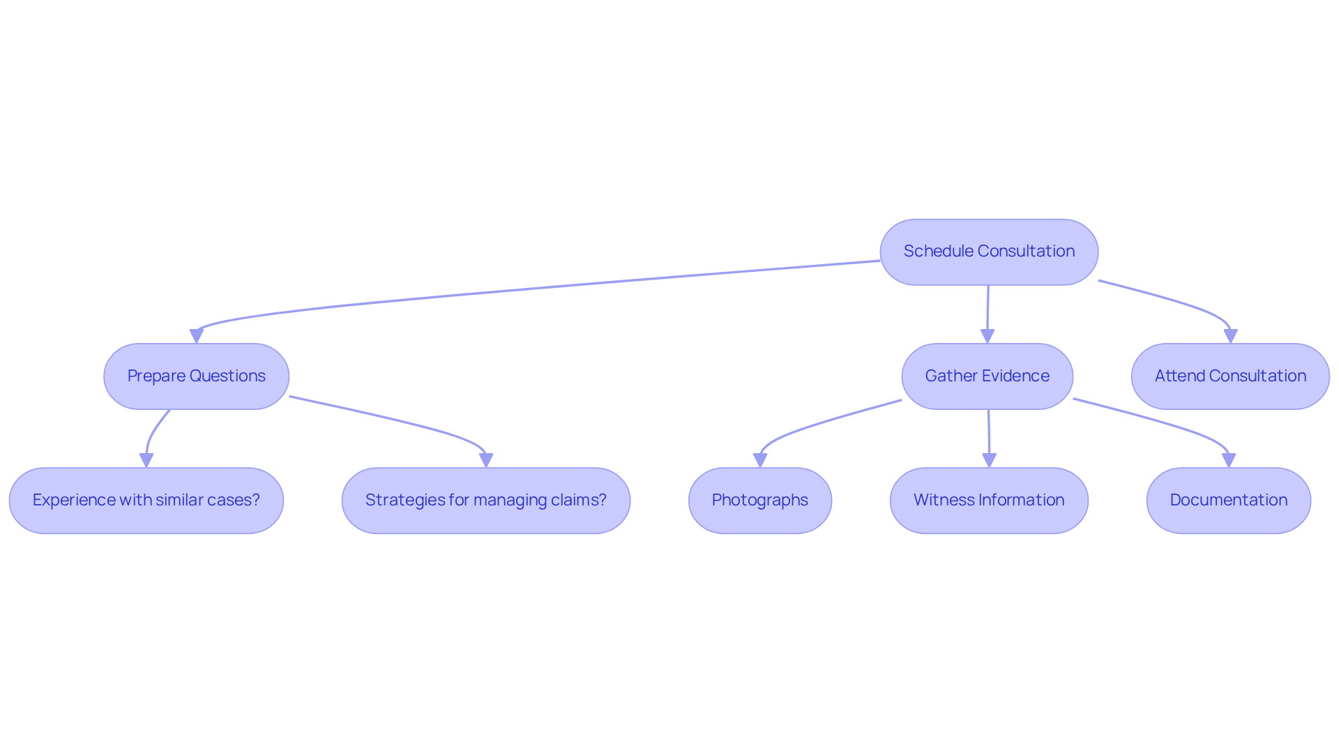 Follow the arrows to see the steps you need to take for your consultations. Each box represents an action, and the branches show what to consider at each stage.