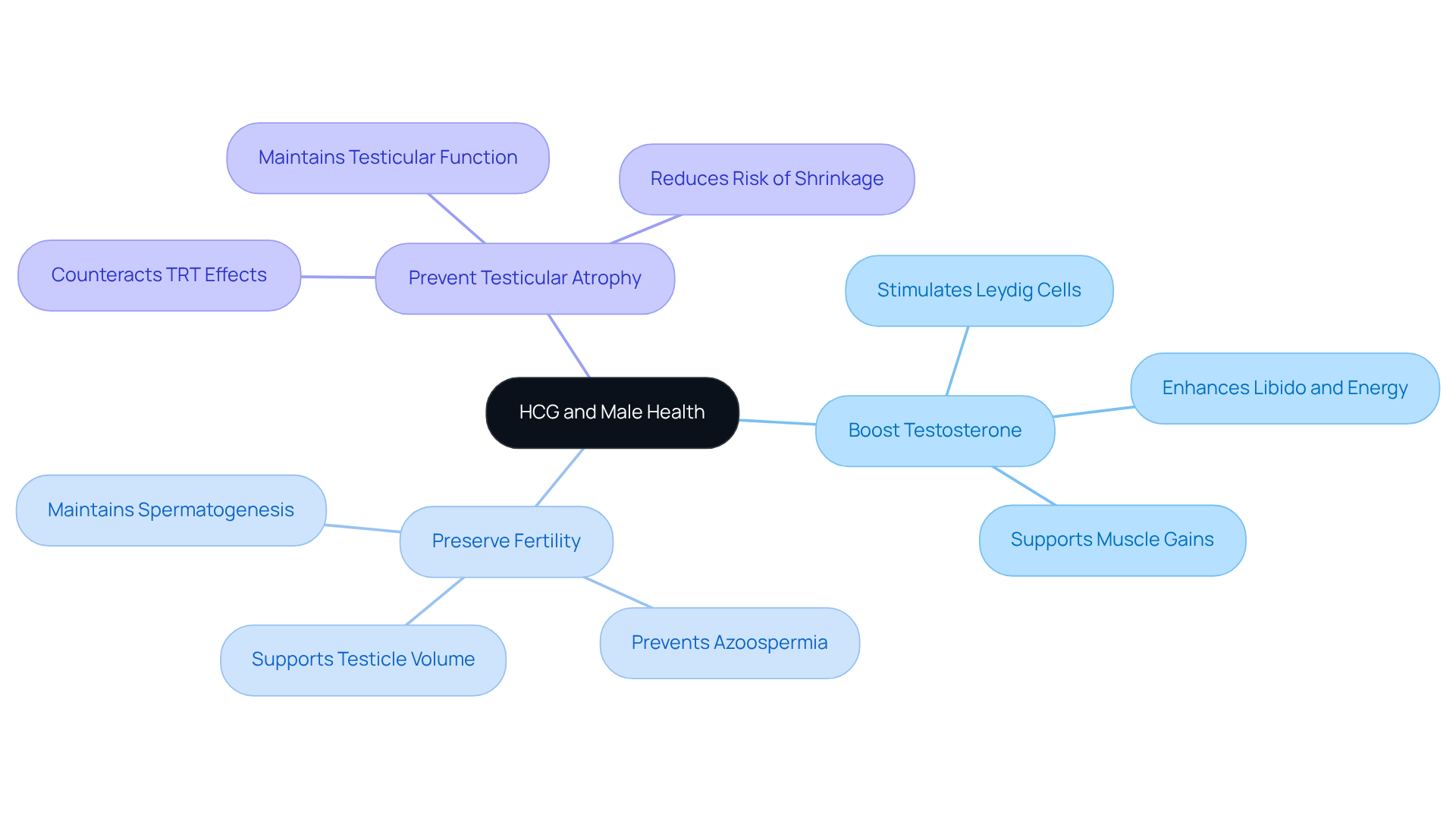 The center represents HCG's importance, while the branches show how it helps boost testosterone, maintain fertility, and prevent testicular shrinkage. Each branch highlights a key benefit, making it easy to understand HCG's role. The center represents HCG's importance, while the branches show how it helps boost testosterone, maintain fertility, and prevent testicular shrinkage. Each branch highlights a key benefit, making it easy to understand HCG's role.