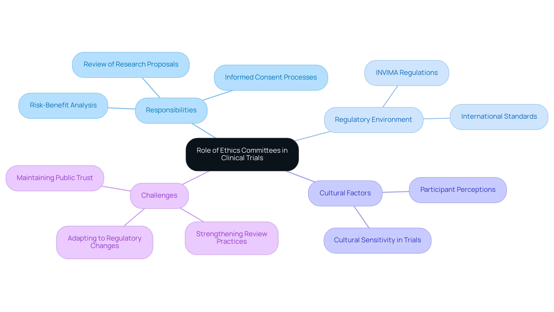 The central node represents the overall role of ethics committees, with branches showing their responsibilities, regulatory influences, cultural considerations, and challenges faced.