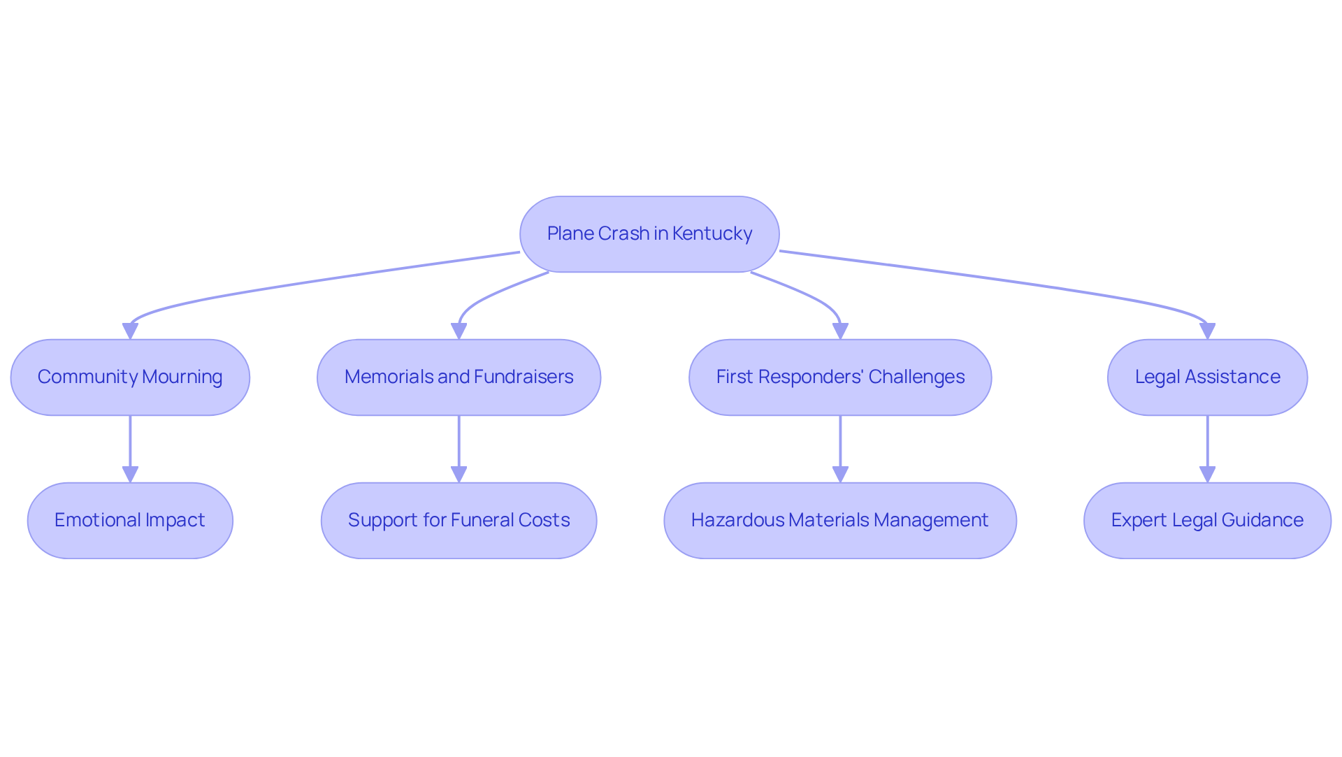 This flowchart illustrates the sequence of events and responses following the plane crash. Start with the tragedy at the top, then follow the arrows to see how the community mourns, supports each other, and seeks legal help. Each box represents a key aspect of the aftermath, showing how interconnected these responses are. This flowchart illustrates the sequence of events and responses following the plane crash. Start with the tragedy at the top, then follow the arrows to see how the community mourns, supports each other, and seeks legal help. Each box represents a key aspect of the aftermath, showing how interconnected these responses are.