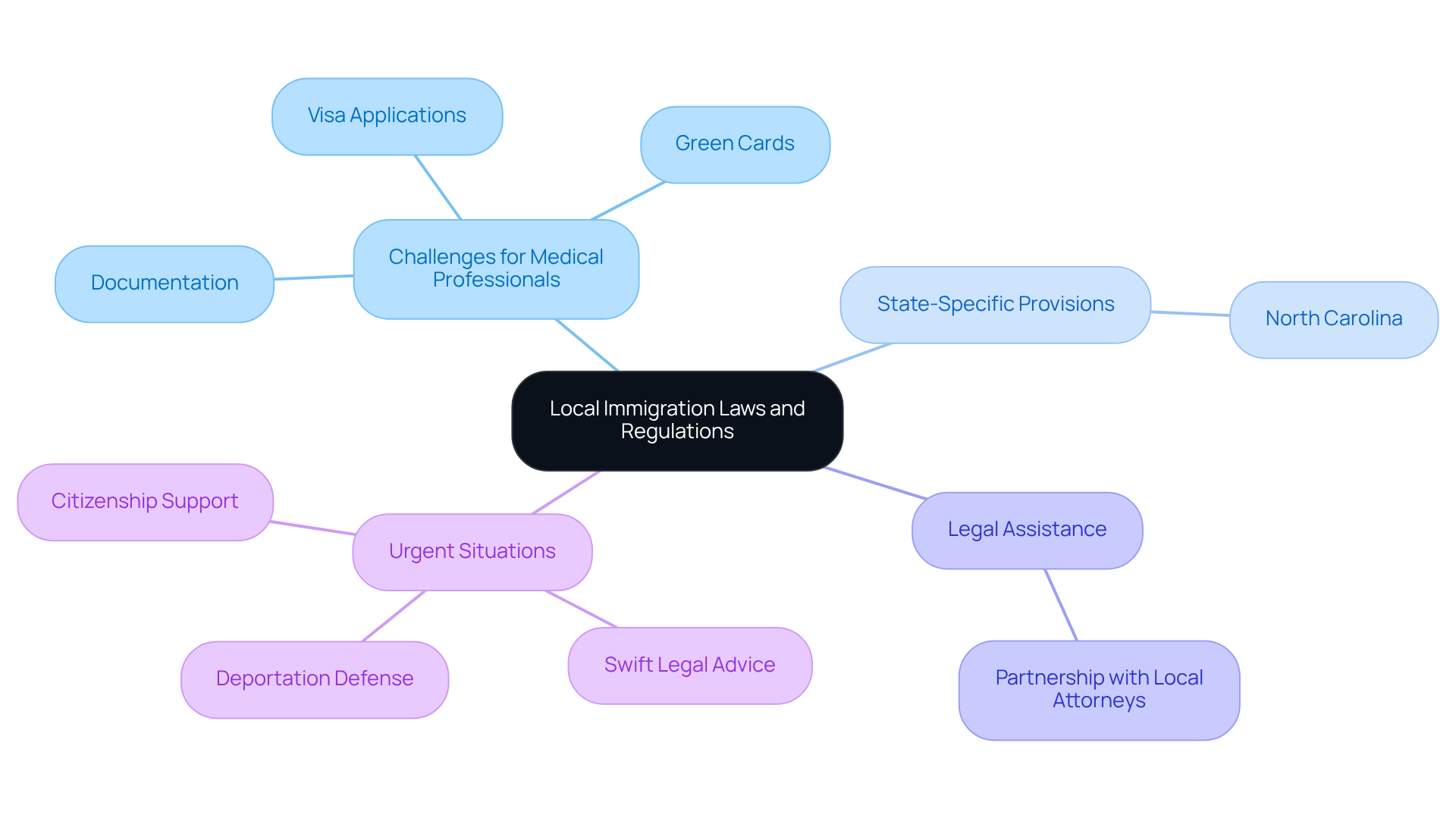 The center represents the main topic of immigration laws. Each branch shows different aspects that affect medical professionals, helping you see how they relate to each other and what support is available.