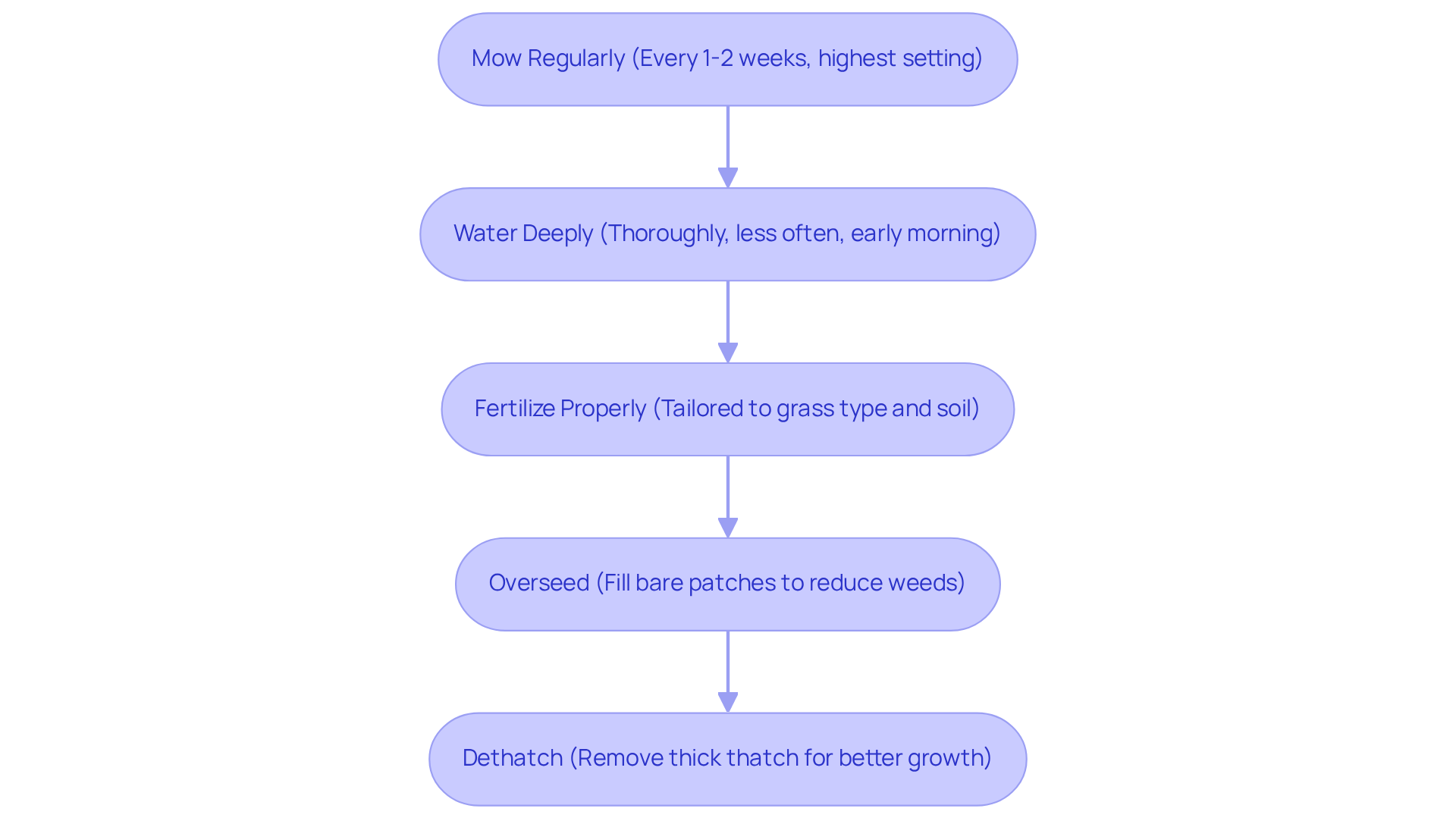 Each box represents a key technique for lawn care. Follow the arrows to see the recommended steps for nurturing a vibrant lawn. The descriptions provide quick insights into why each step is important.
