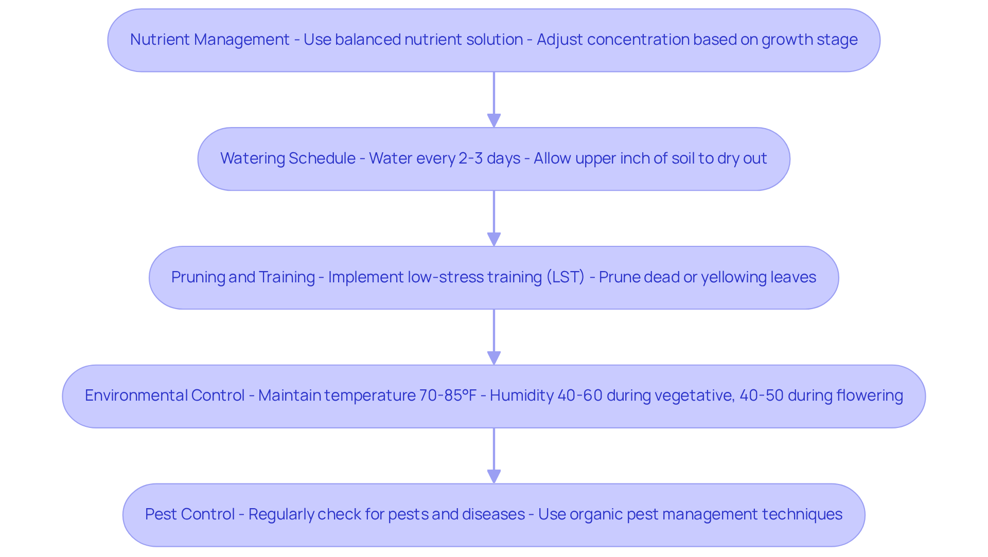 Follow the arrows to navigate through the plant care steps. Each box outlines a crucial aspect of nurturing your plants, ensuring they grow healthy and strong.