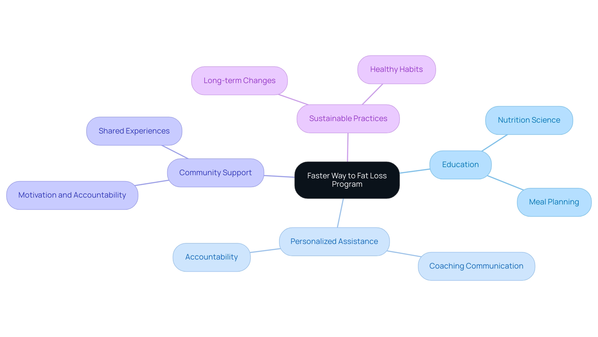 The central node represents the overall program, with branches showing the four key components and their respective sub-elements.