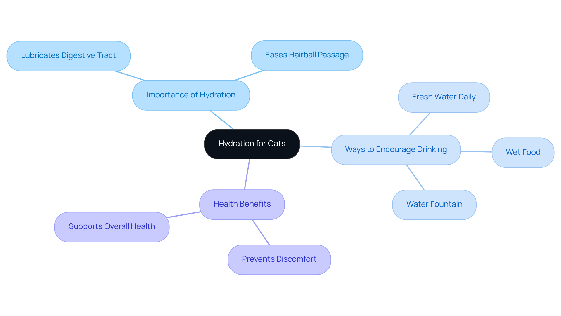 The center represents the main focus on hydration. Follow the branches to discover why it matters and how to help your cat drink more water.