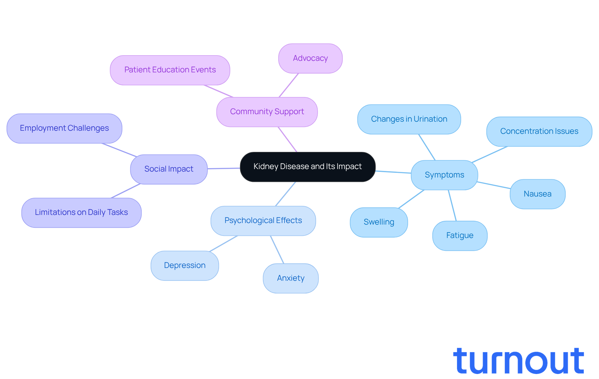 The central node represents kidney disease, with branches showing its symptoms, psychological effects, social impacts, and available community support. Each branch helps visualize how these aspects relate to the overall experience of living with kidney disease.