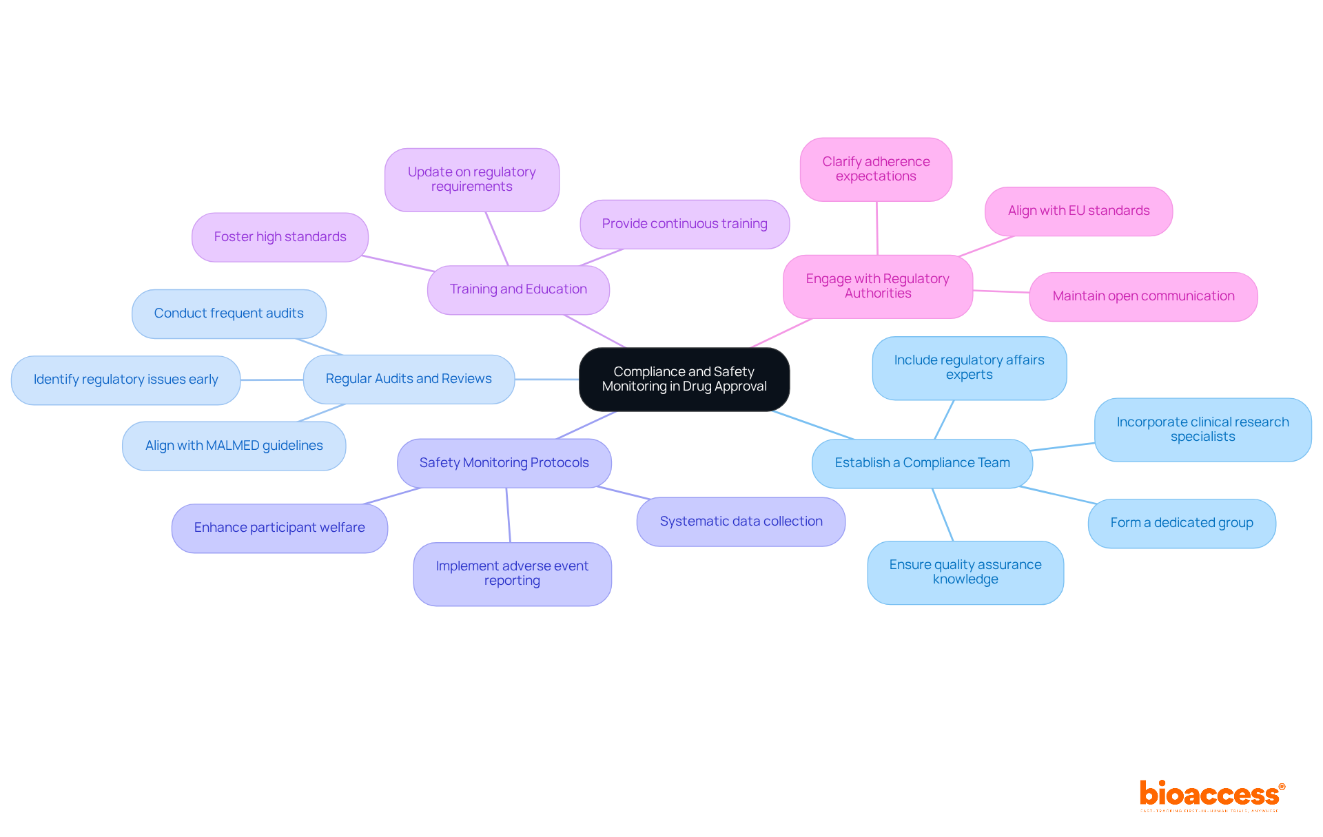 The central node represents the main focus on compliance and safety. Each branch shows a key strategy, and the sub-branches provide additional details or actions related to that strategy.