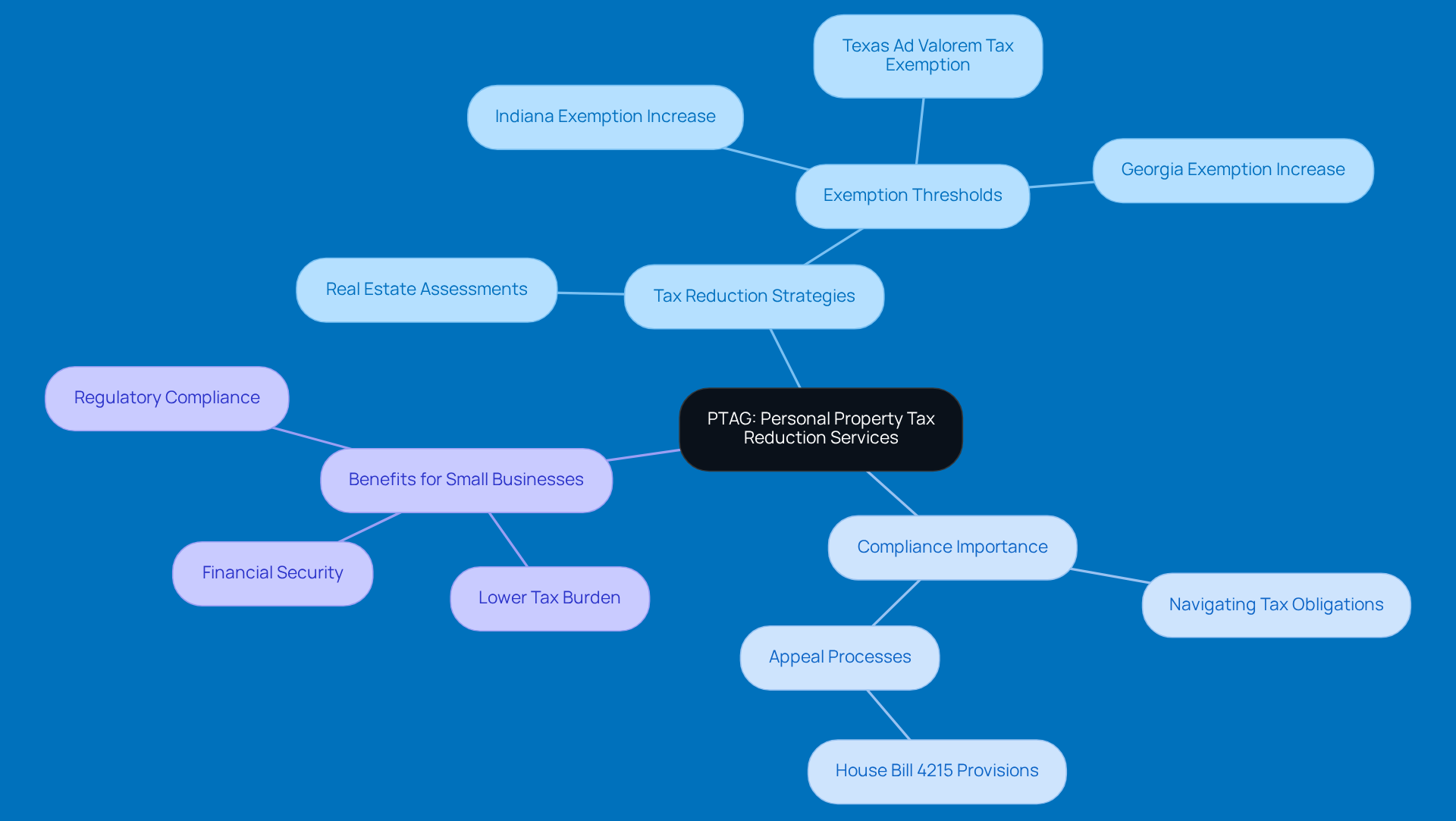 The center represents PTAG's main focus, while the branches show different aspects of their services and how they help small businesses manage their taxes effectively.