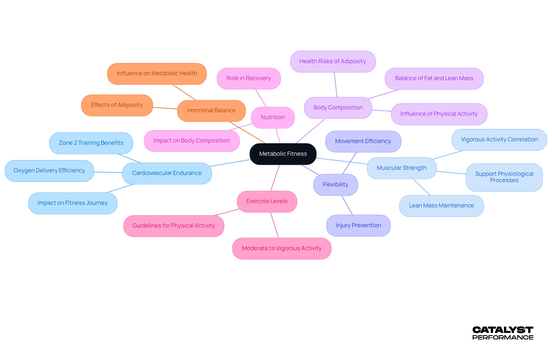 The central node represents metabolic fitness, while the branches show the essential components and their roles in achieving better health. Each color-coded branch helps you see how different aspects contribute to your overall fitness journey. The central node represents metabolic fitness, while the branches show the essential components and their roles in achieving better health. Each color-coded branch helps you see how different aspects contribute to your overall fitness journey.
