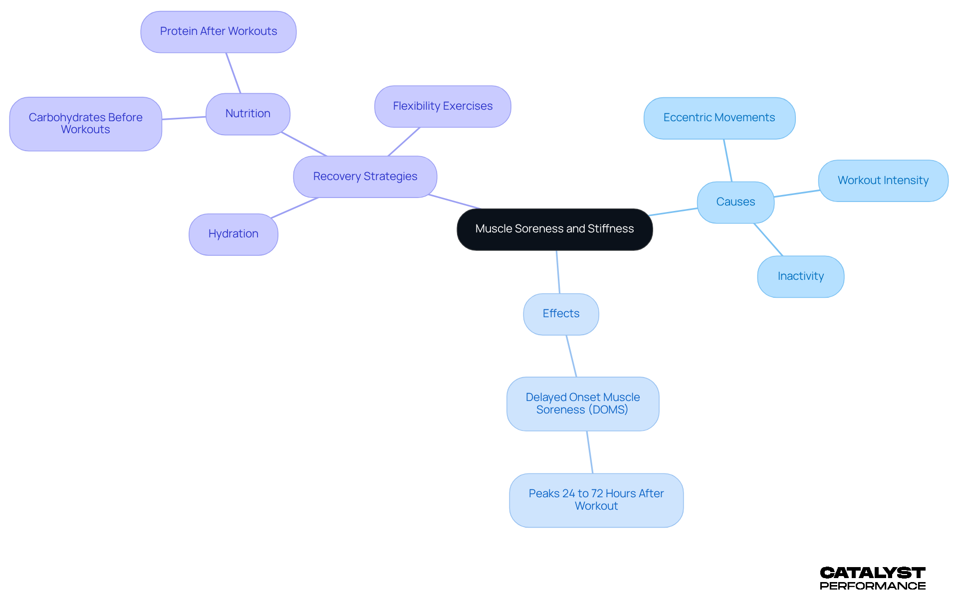 The central node represents the main topic of muscle soreness. Each branch shows different aspects related to it, such as causes and recovery strategies. Follow the branches to explore how each factor contributes to muscle soreness and what you can do to recover. The central node represents the main topic of muscle soreness. Each branch shows different aspects related to it, such as causes and recovery strategies. Follow the branches to explore how each factor contributes to muscle soreness and what you can do to recover.