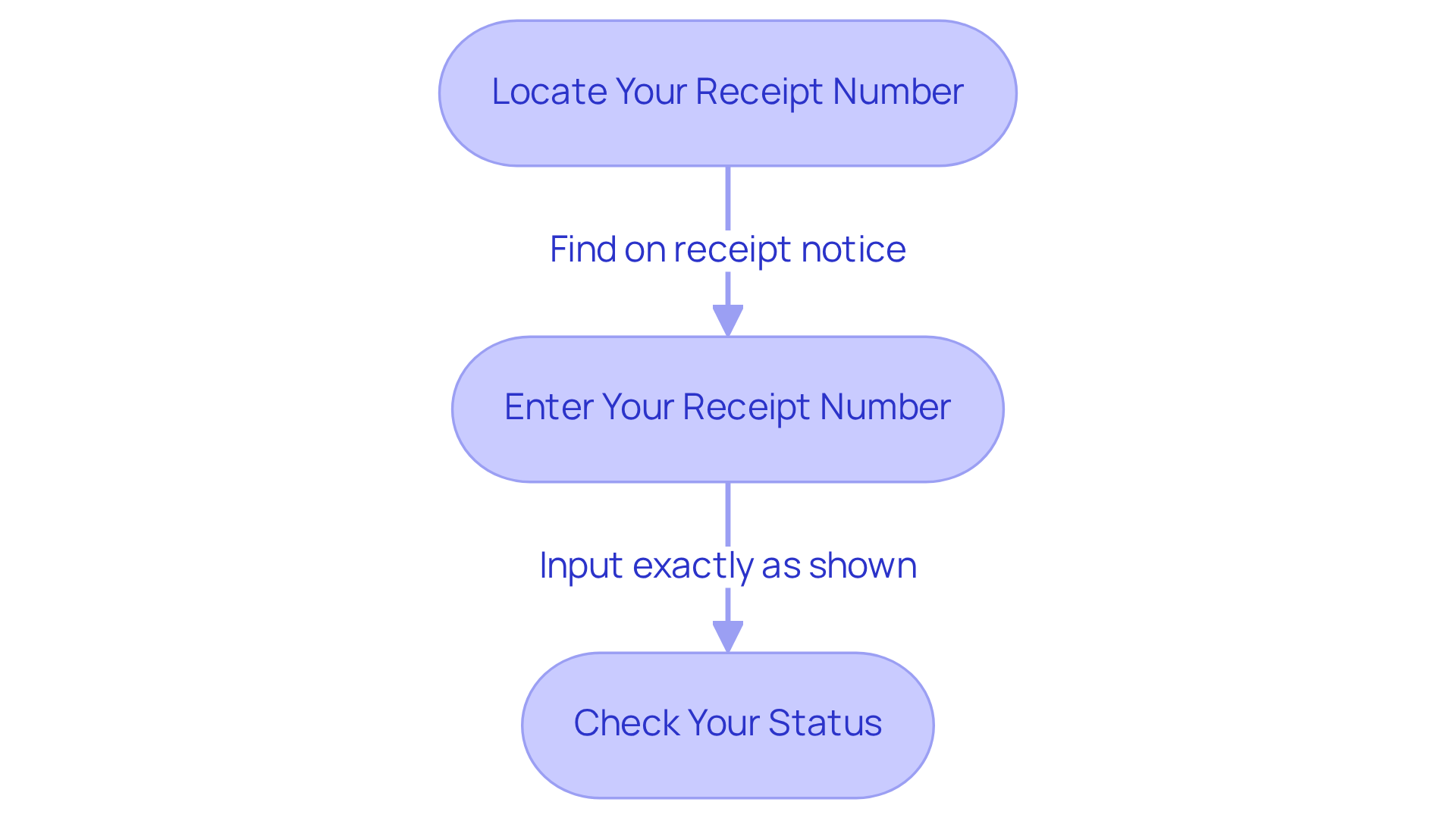 Each box in the flowchart represents a step in the process. Follow the arrows to understand what you need to do at each stage to check your immigration application status.
