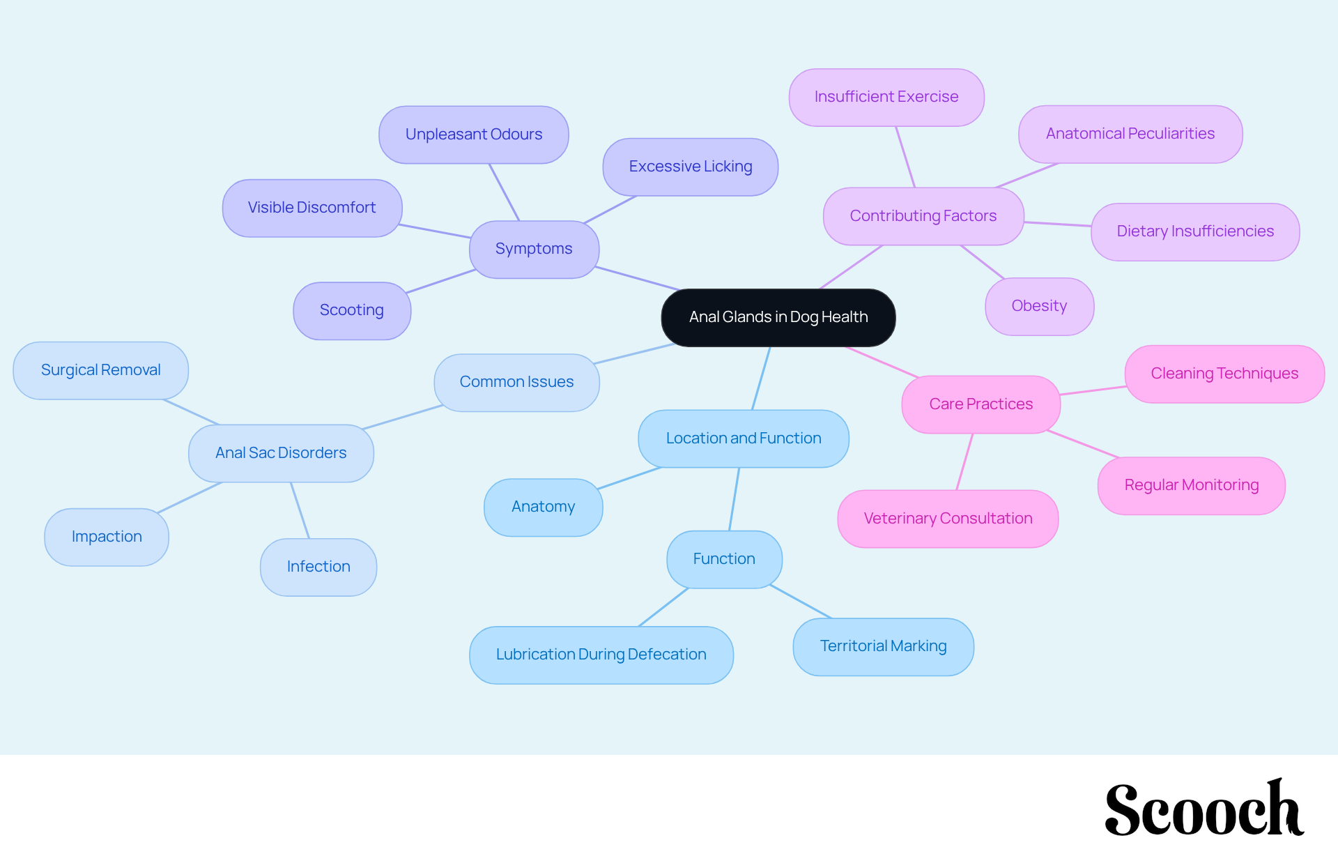 Start at the center with the main topic, then explore the branches to discover the various aspects of anal gland health, including their functions, issues, signs to watch for, and care tips.
