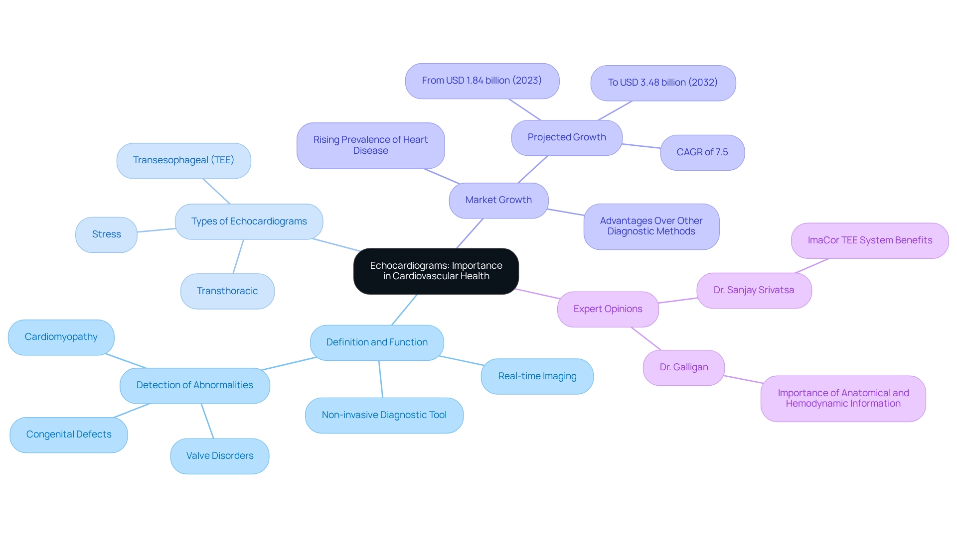 The center node represents echocardiograms, and the branches show how they relate to various important aspects of cardiovascular health. Each color-coded branch helps to easily identify different categories of information.
