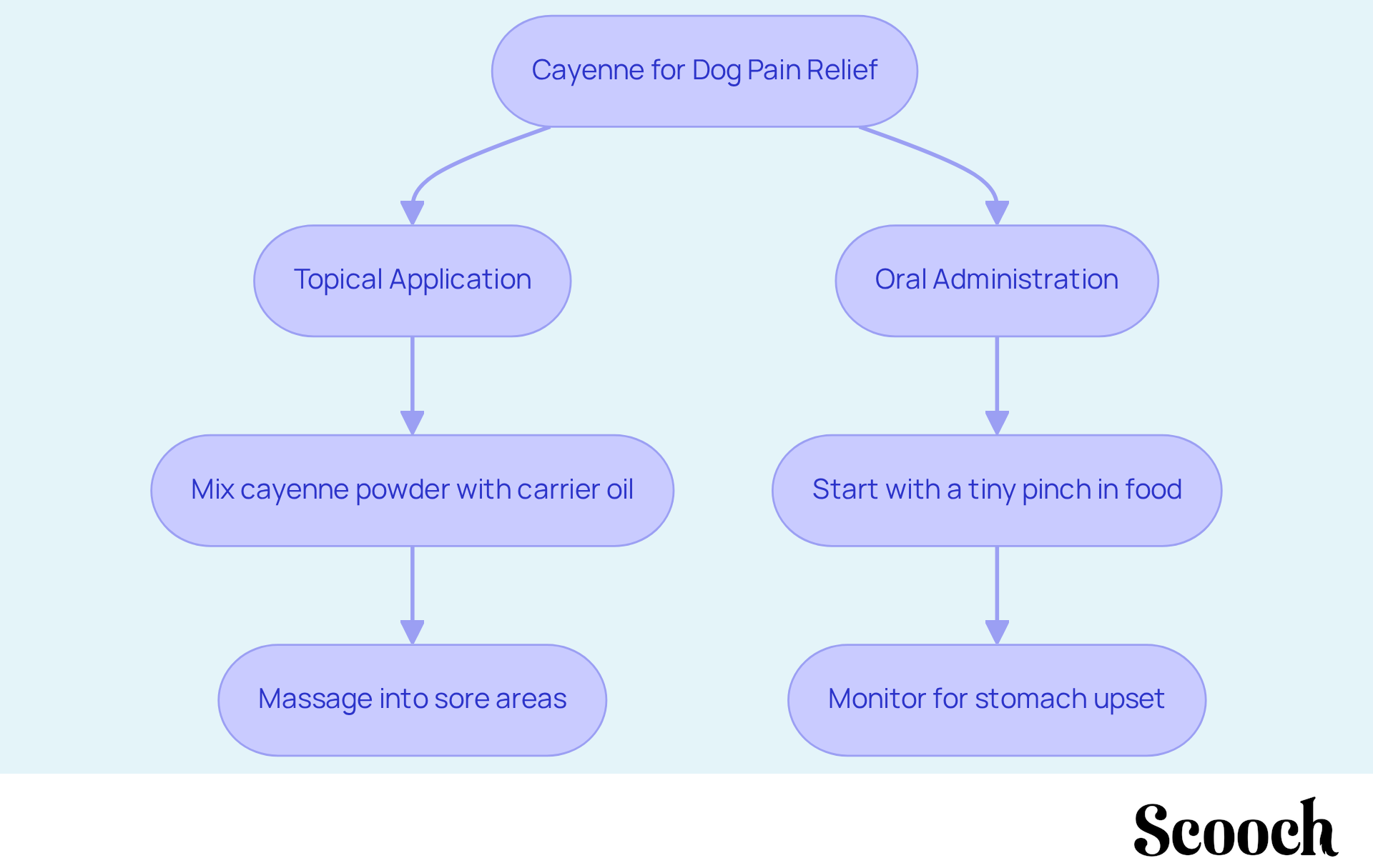 Follow the arrows to see how to use cayenne pepper for your dog's pain relief. Each step guides you through the process, from preparation to application, ensuring your furry friend stays safe and comfortable. Follow the arrows to see how to use cayenne pepper for your dog's pain relief. Each step guides you through the process, from preparation to application, ensuring your furry friend stays safe and comfortable.