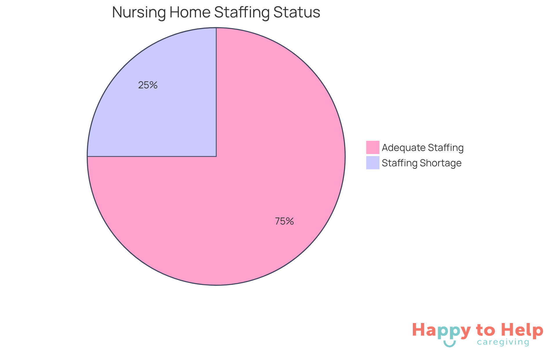 The red segment shows the portion of nursing homes experiencing staffing shortages, while the green segment represents those that maintain adequate staffing levels. This visual helps highlight the importance of staffing in providing quality care.