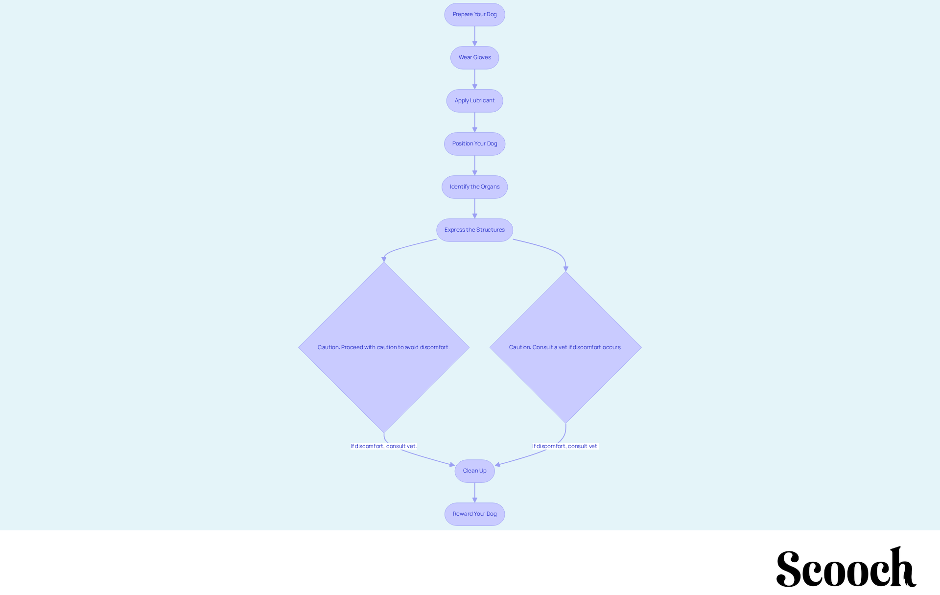 Each box represents a step in the process. Follow the arrows to see the order of actions. Pay special attention to the caution notes to ensure your dog's safety and comfort throughout the procedure.