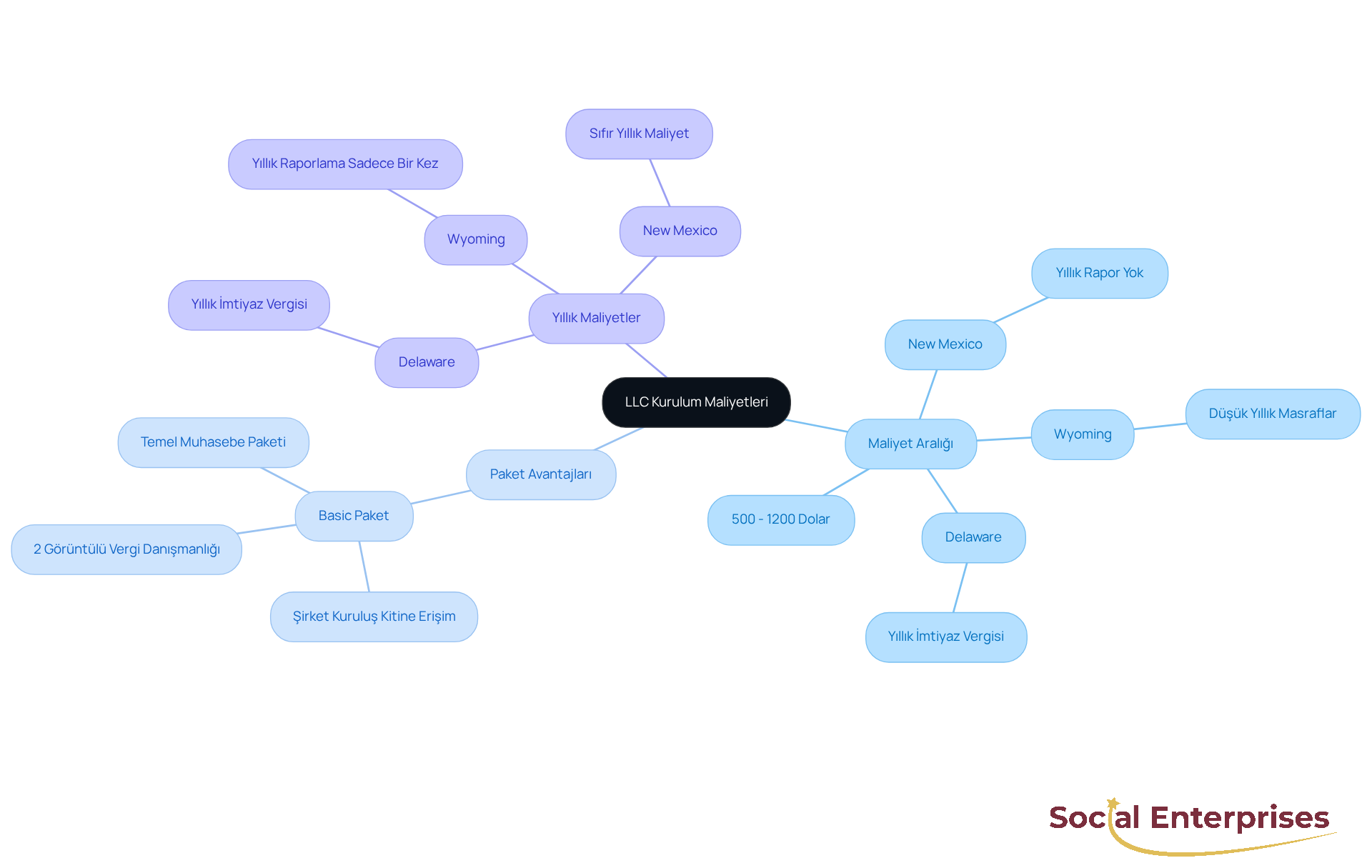 Merkezdeki konu, LLC kurulum maliyetlerini temsil ediyor. Dallar, farklı eyaletlerin maliyetlerini ve avantajlarını gösteriyor; her dal, belirli bir bölge hakkında bilgi veriyor.