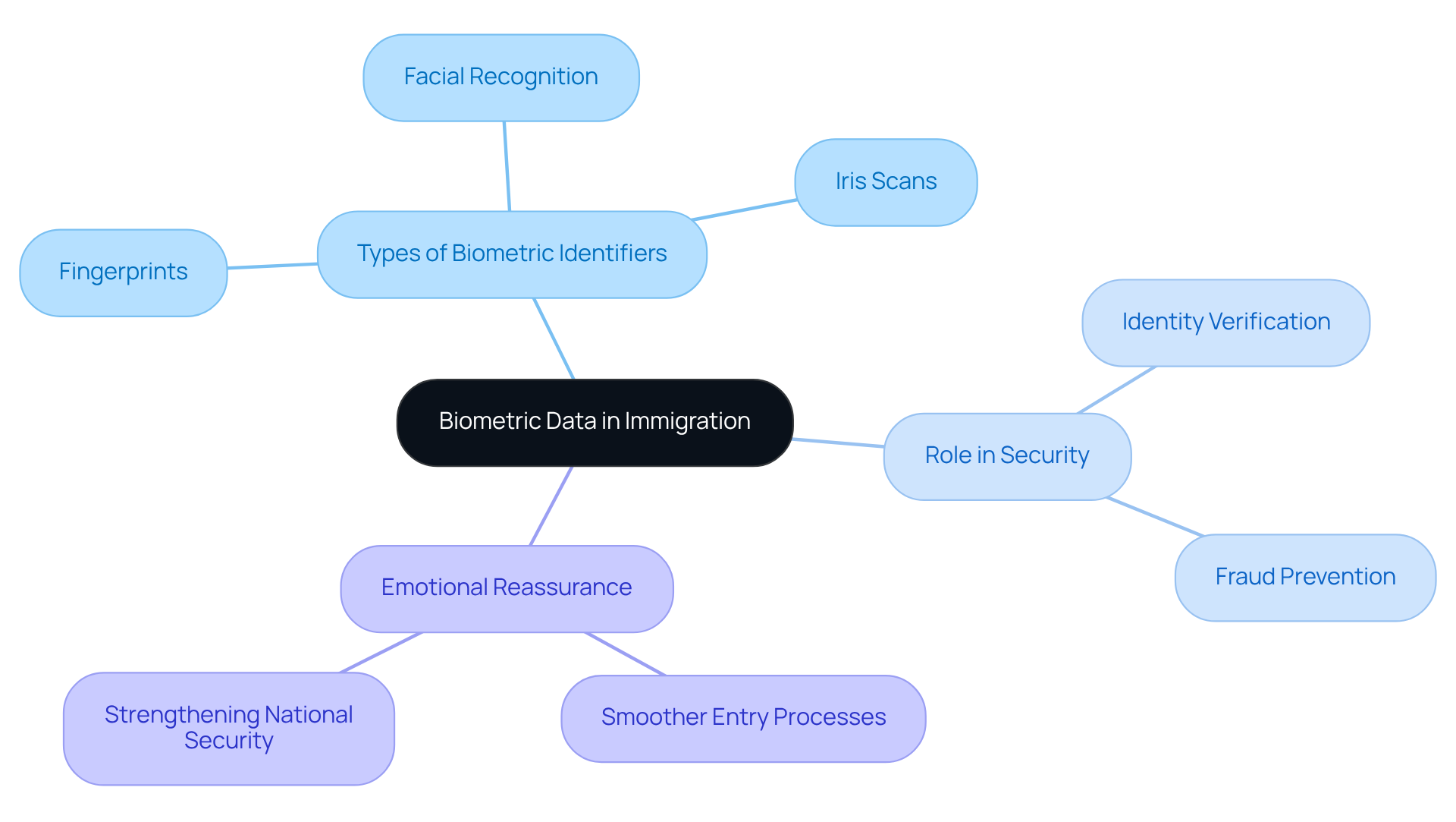 The central node represents biometric data, while the branches show different aspects like types of identifiers and their roles in security. Follow the branches to explore how biometric data impacts immigration processes.