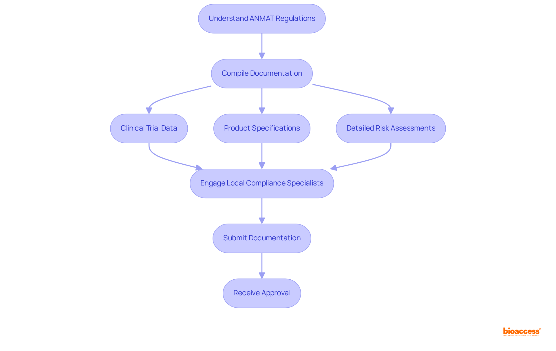 Each box represents a step in the compliance process — follow the arrows to see the order in which actions should be taken to achieve successful market entry in Argentina.