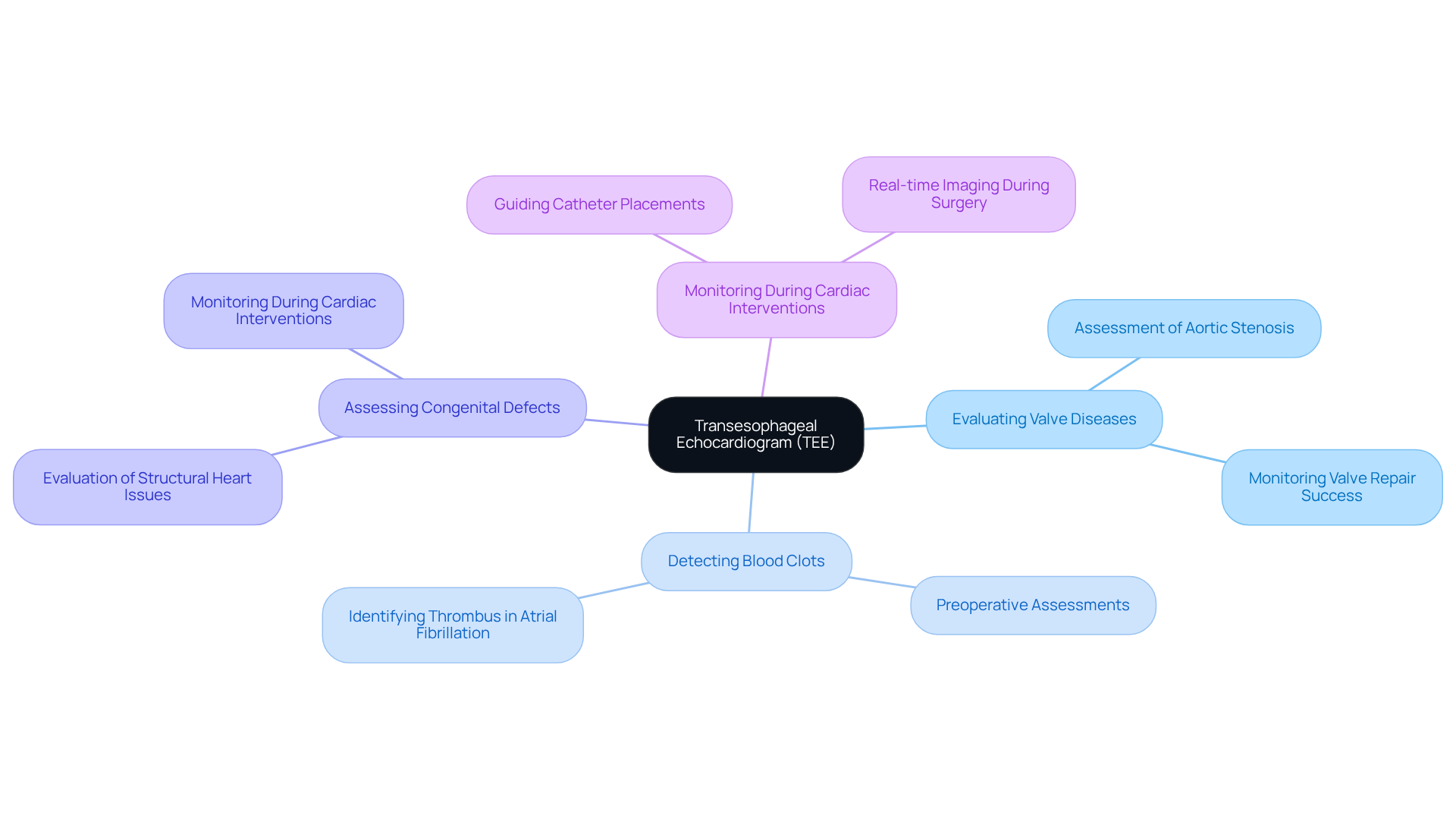 The central node represents TEE, and each branch shows a specific reason for the procedure. The sub-branches provide more details about each reason, helping you understand why TEE is important for heart health.