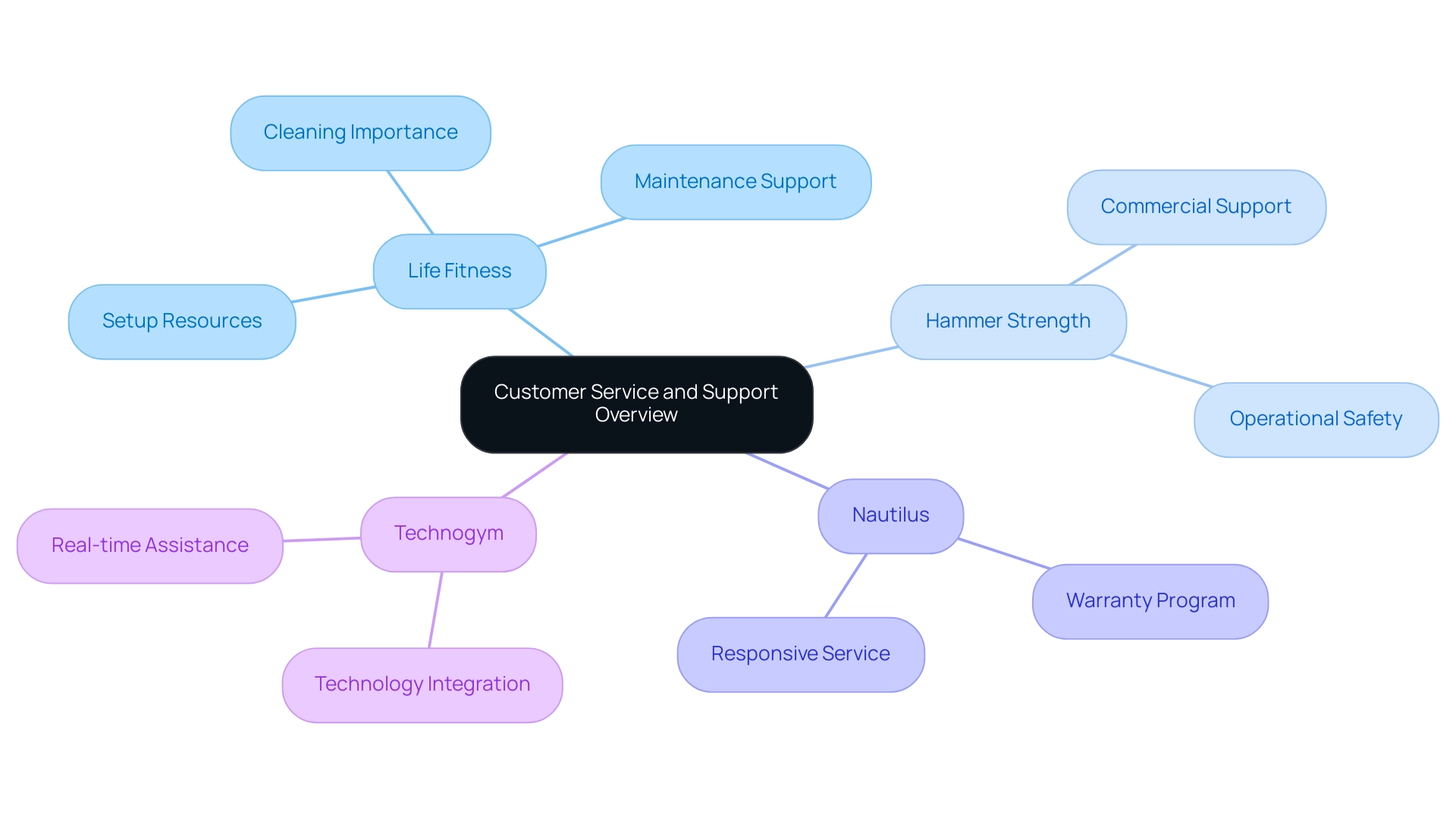 Each branch represents a company, with sub-branches detailing specific customer service offerings and features.